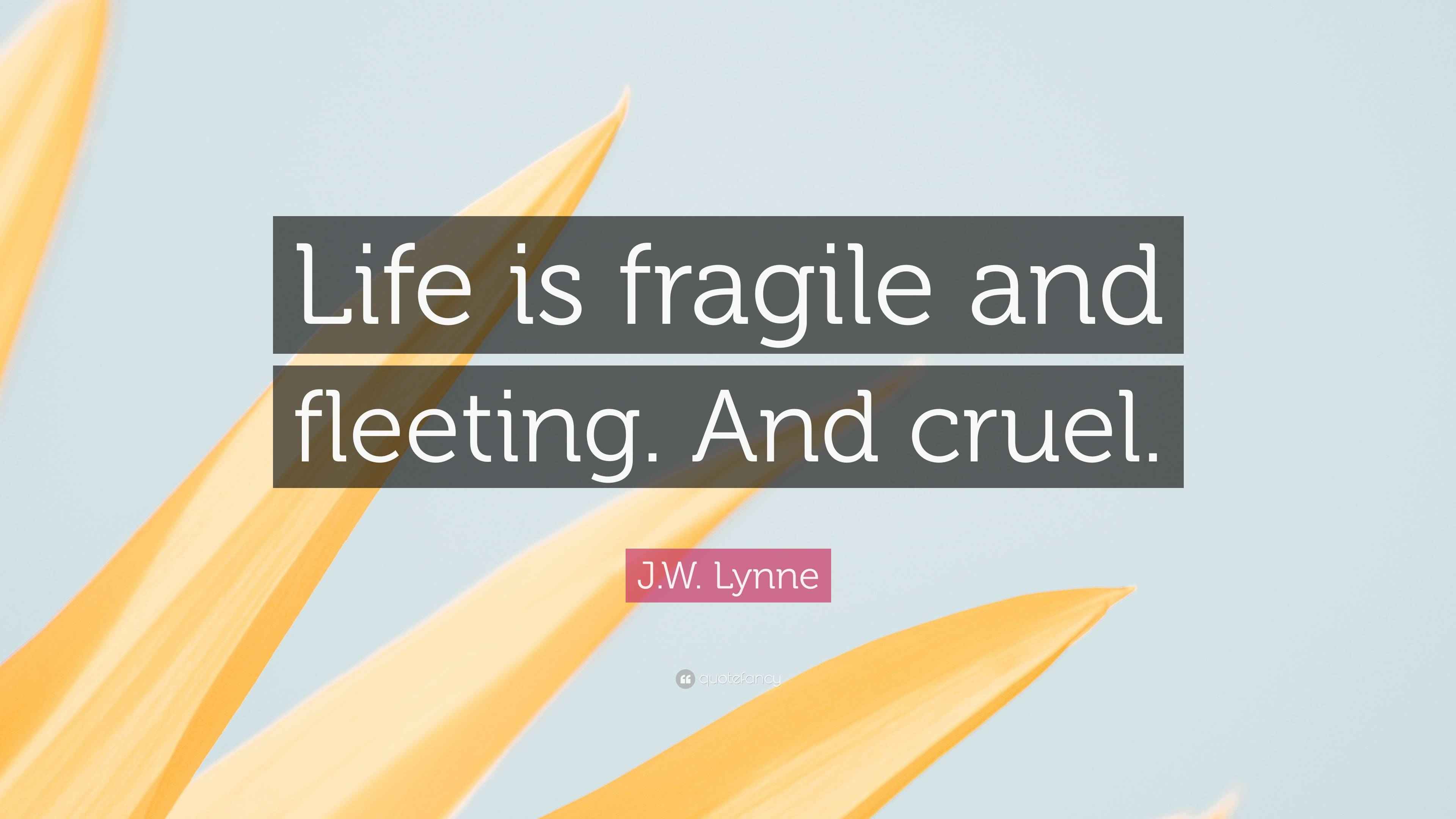 J.W. Lynne Quote: “Life is fragile and fleeting. And cruel.”