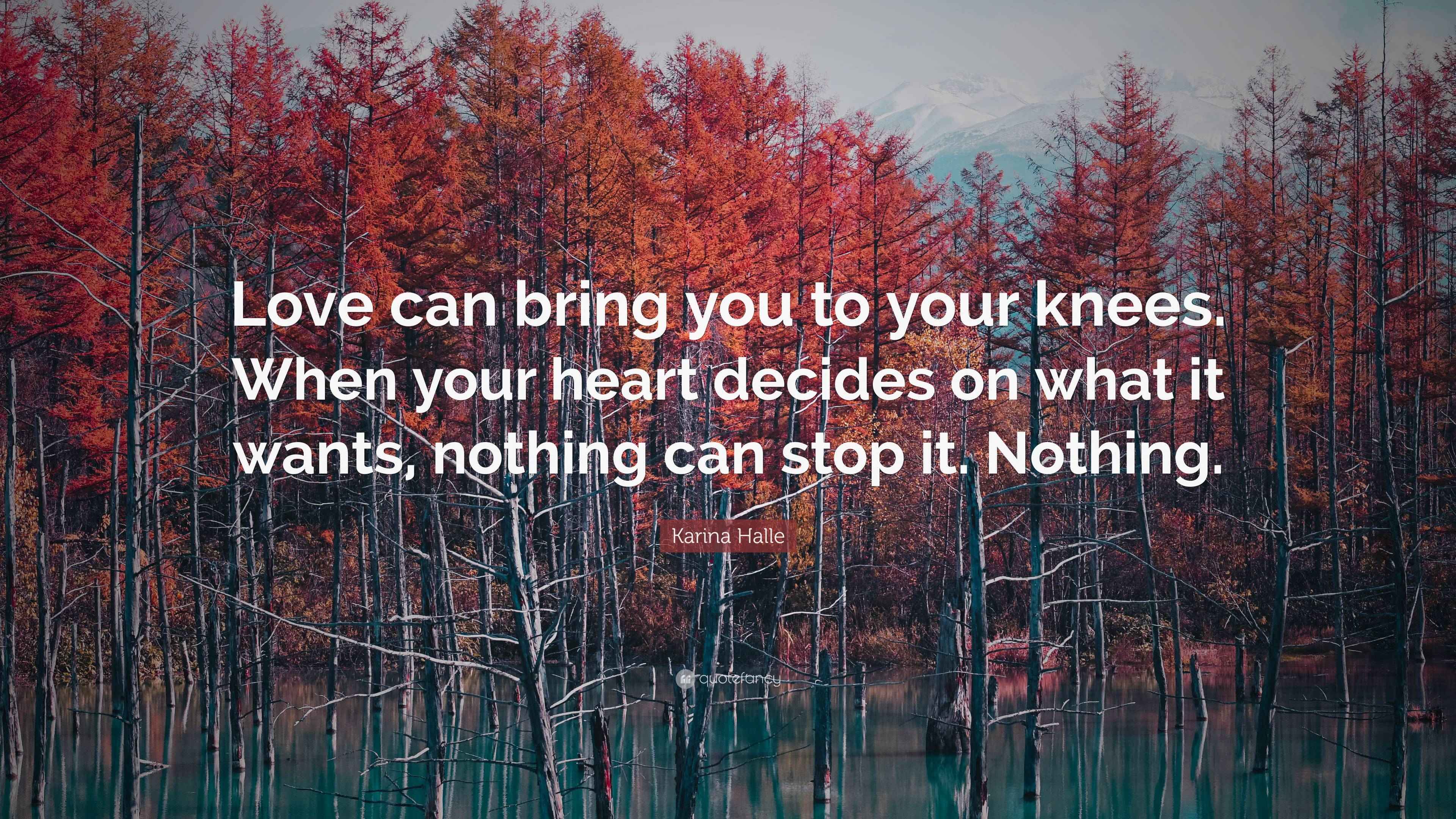 Karina Halle Quote: “Love can bring you to your knees. When your heart ...