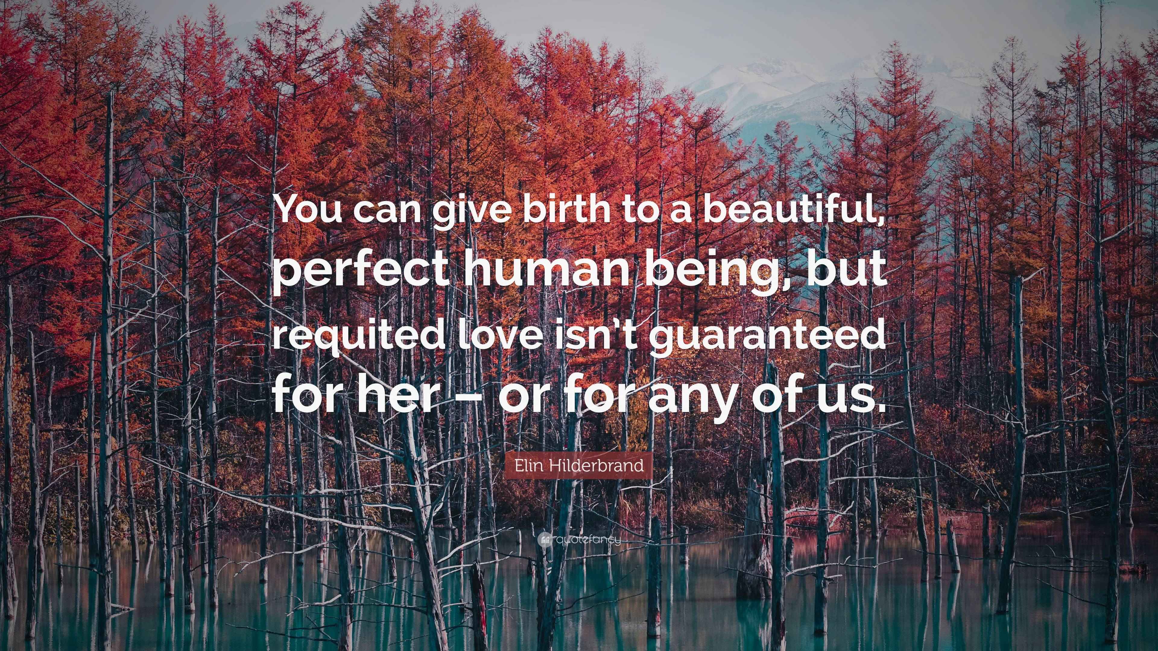 Elin Hilderbrand Quote: “You can give birth to a beautiful, perfect ...