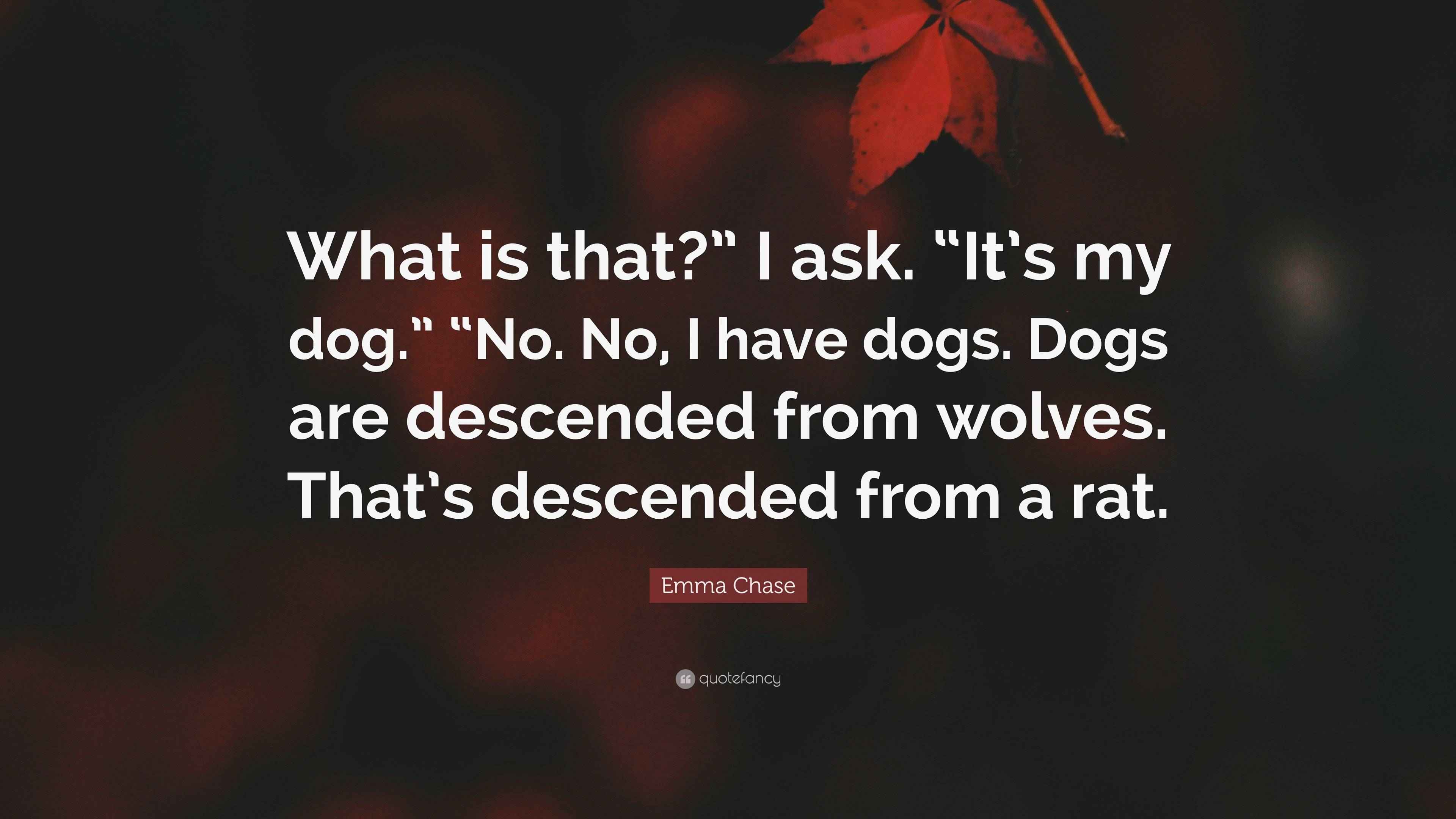 Emma Chase Quote: “What is that?” I ask. “It’s my dog.” “No. No, I have ...