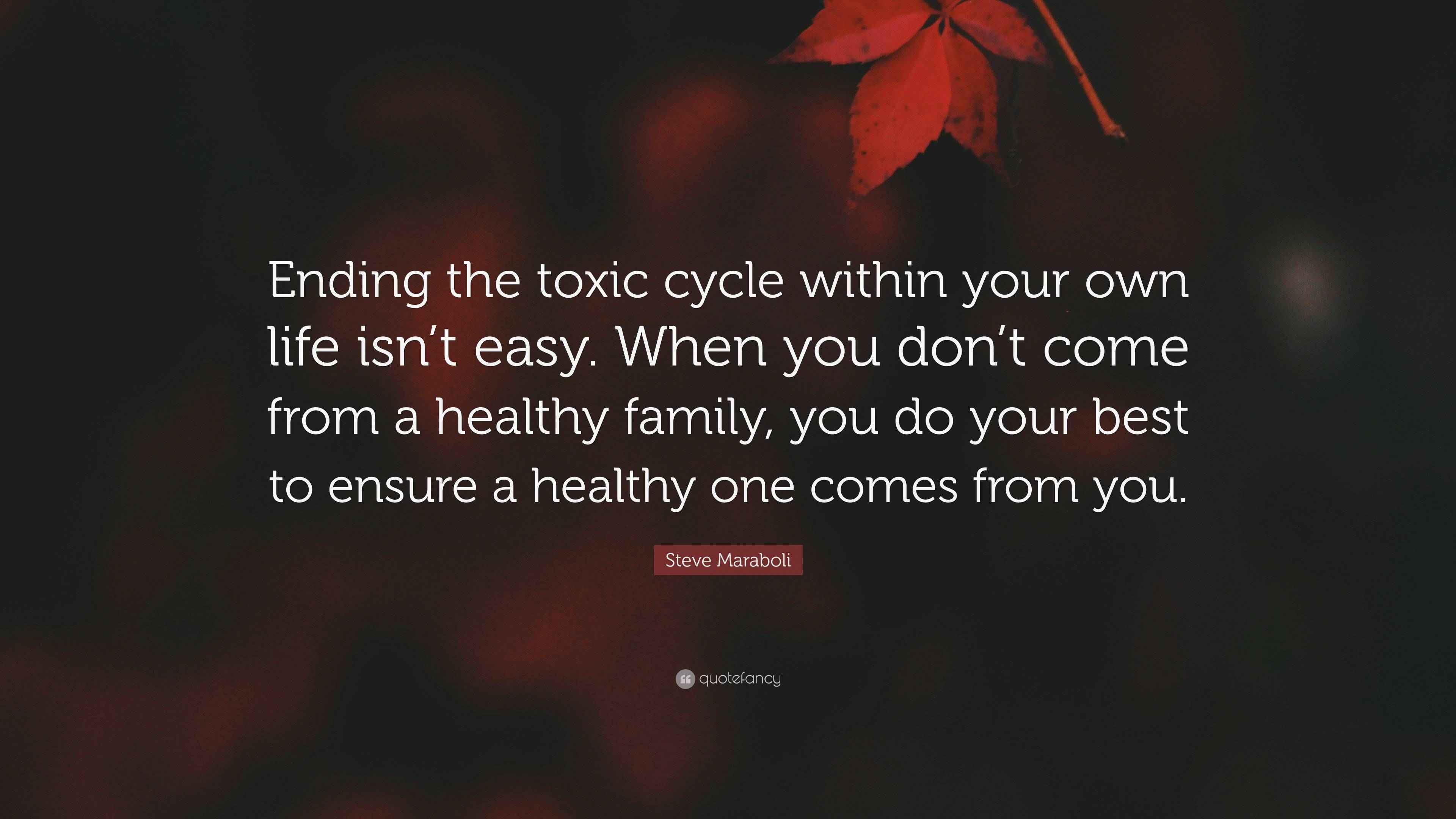 Steve Maraboli Quote: “Ending the toxic cycle within your own life isn ...
