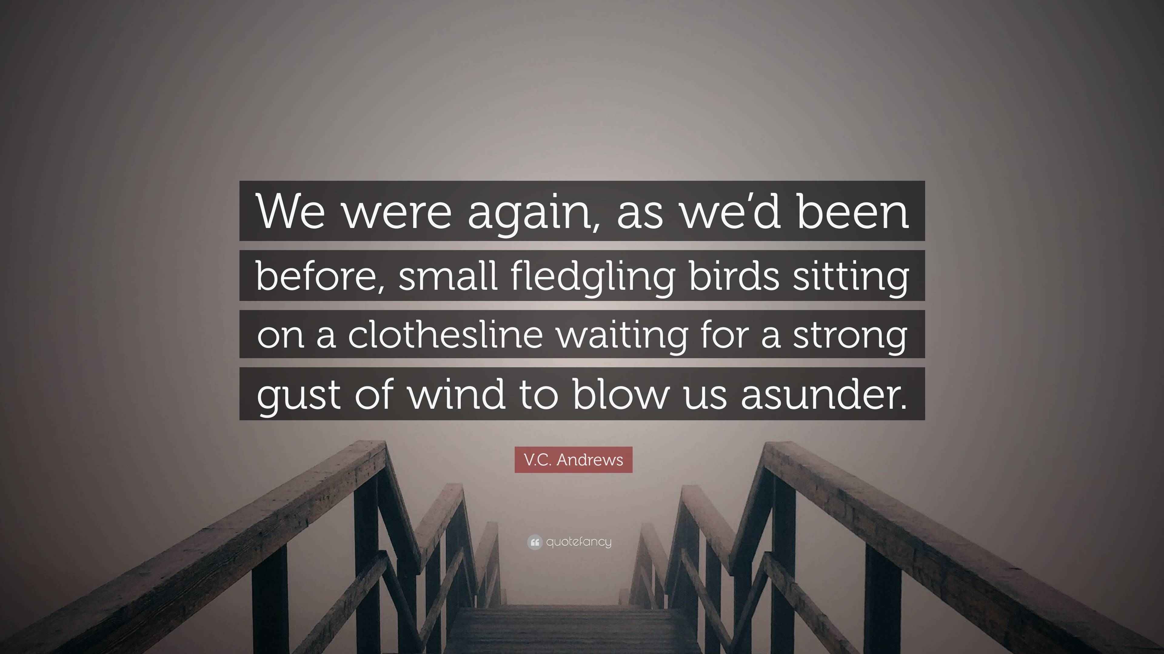 V.C. Andrews Quote: “We were again, as we’d been before, small ...