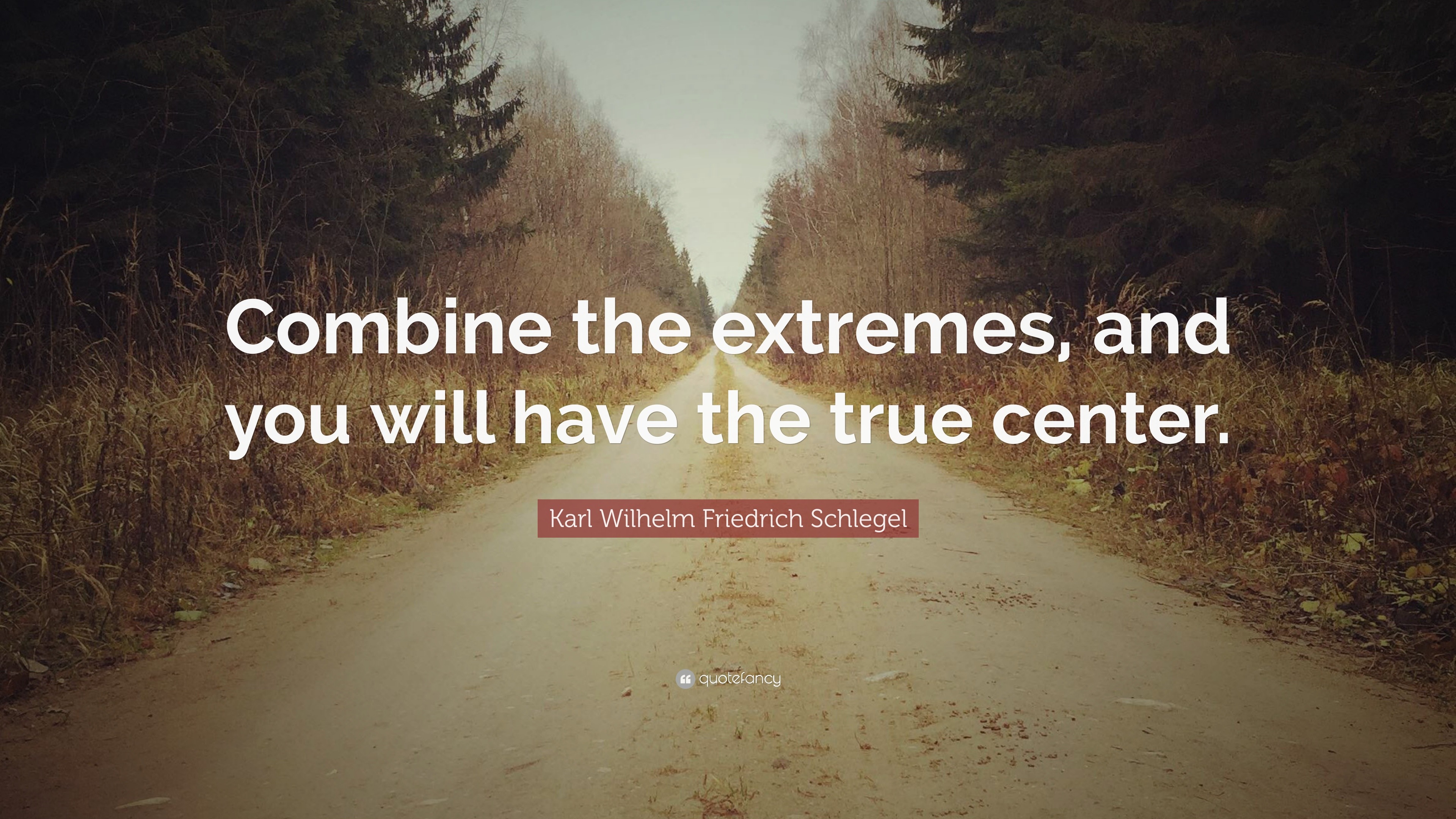 Karl Wilhelm Friedrich Schlegel Quote: “Combine the extremes, and you ...