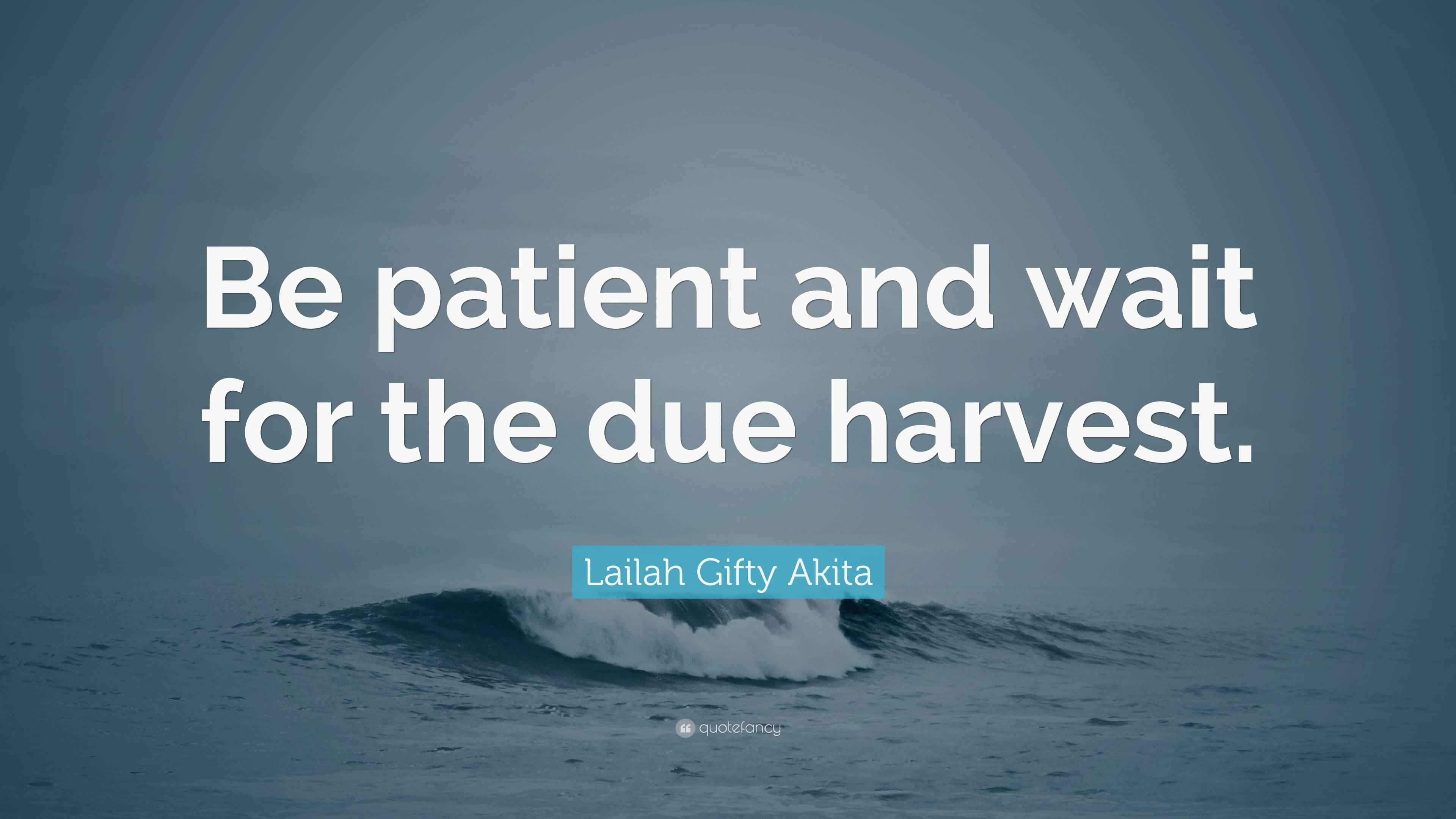 Lailah Gifty Akita Quote: “Be patient and wait for the due harvest.”