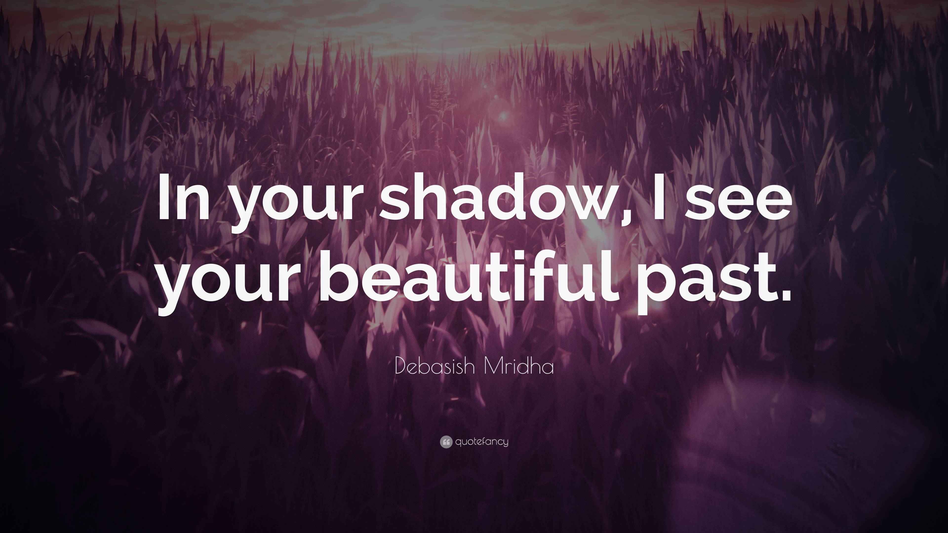Debasish Mridha Quote: “In your shadow, I see your beautiful past.”