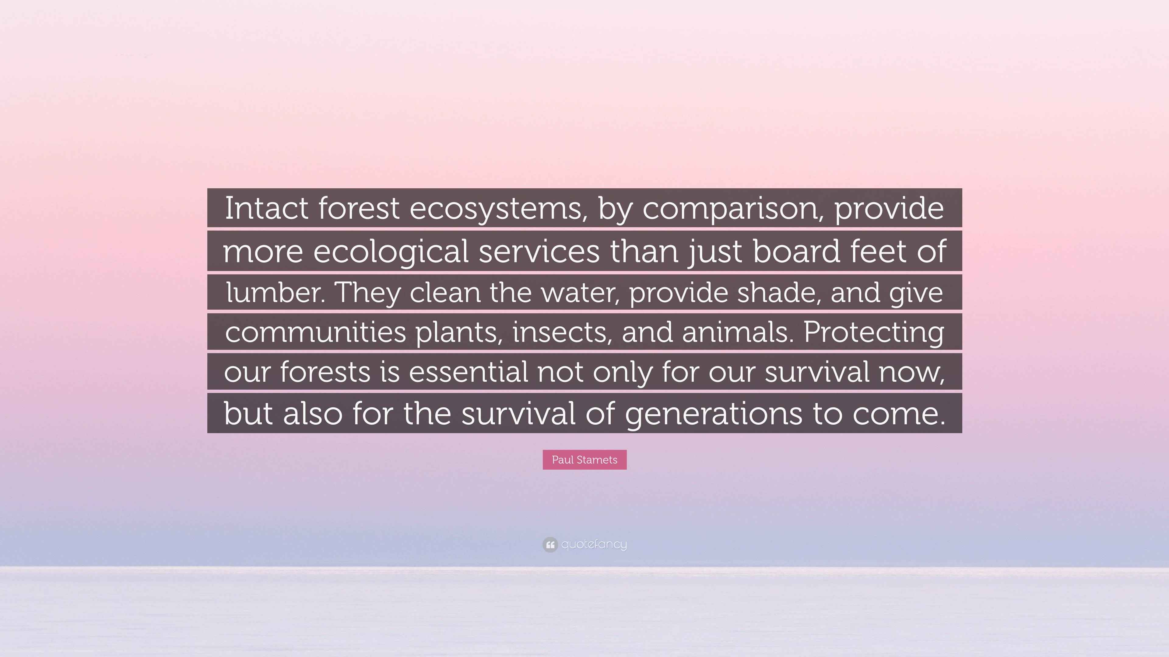 Paul Stamets Quote: “Intact forest ecosystems, by comparison, provide ...