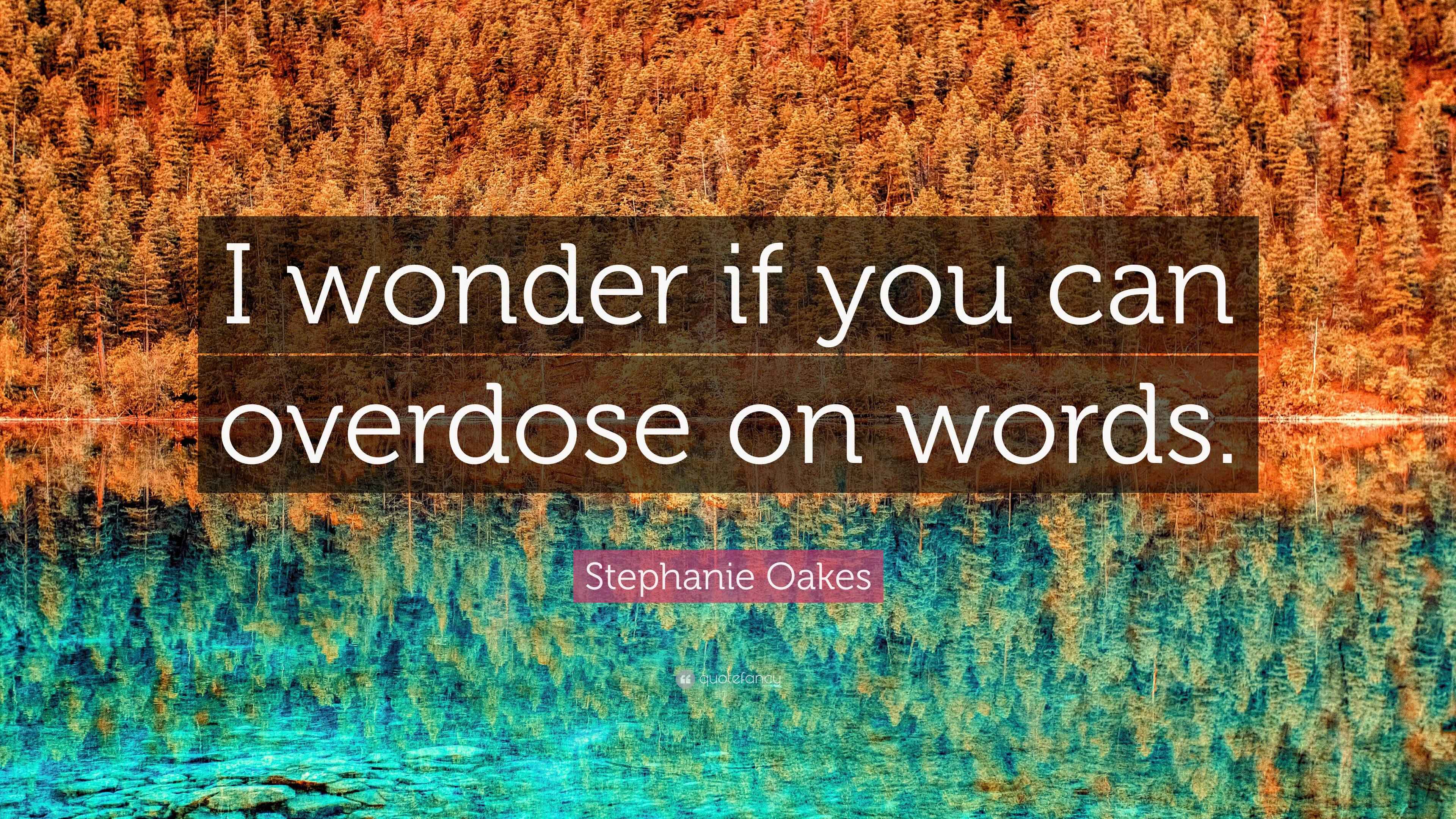 Stephanie Oakes Quote: “I wonder if you can overdose on words.”