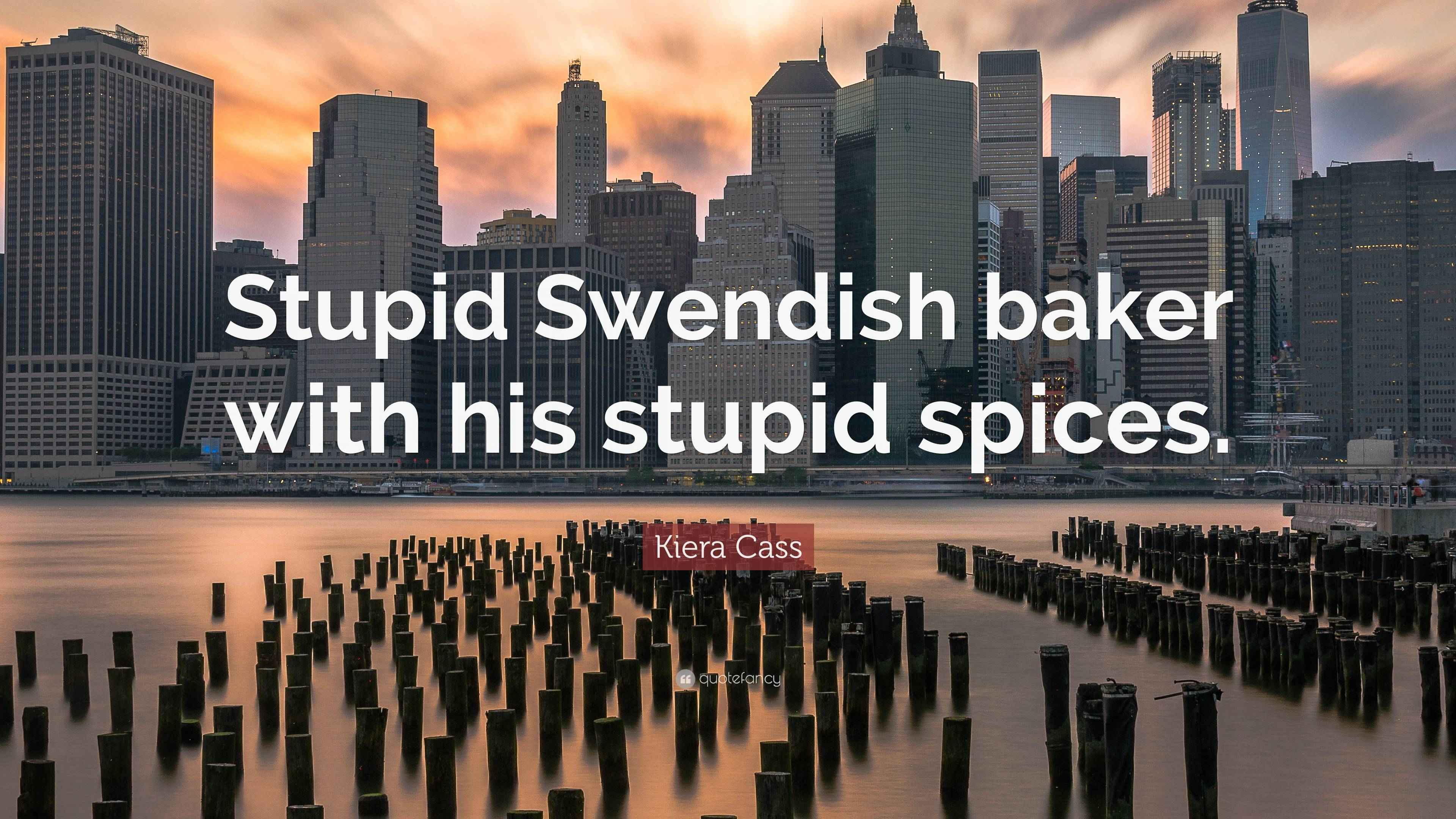 Kiera Cass Quote: “Stupid Swendish baker with his stupid spices.”