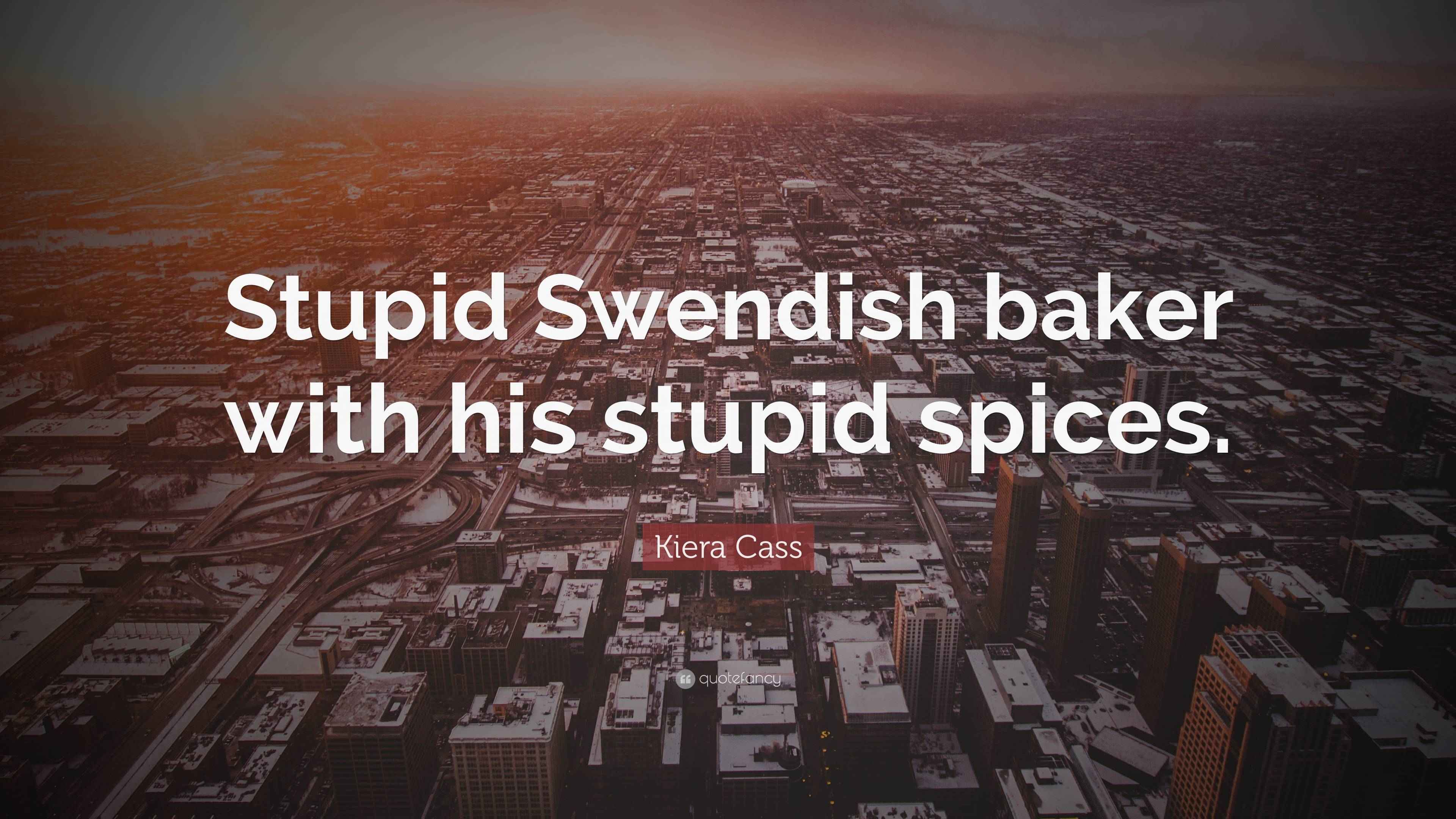 Kiera Cass Quote: “Stupid Swendish baker with his stupid spices.”