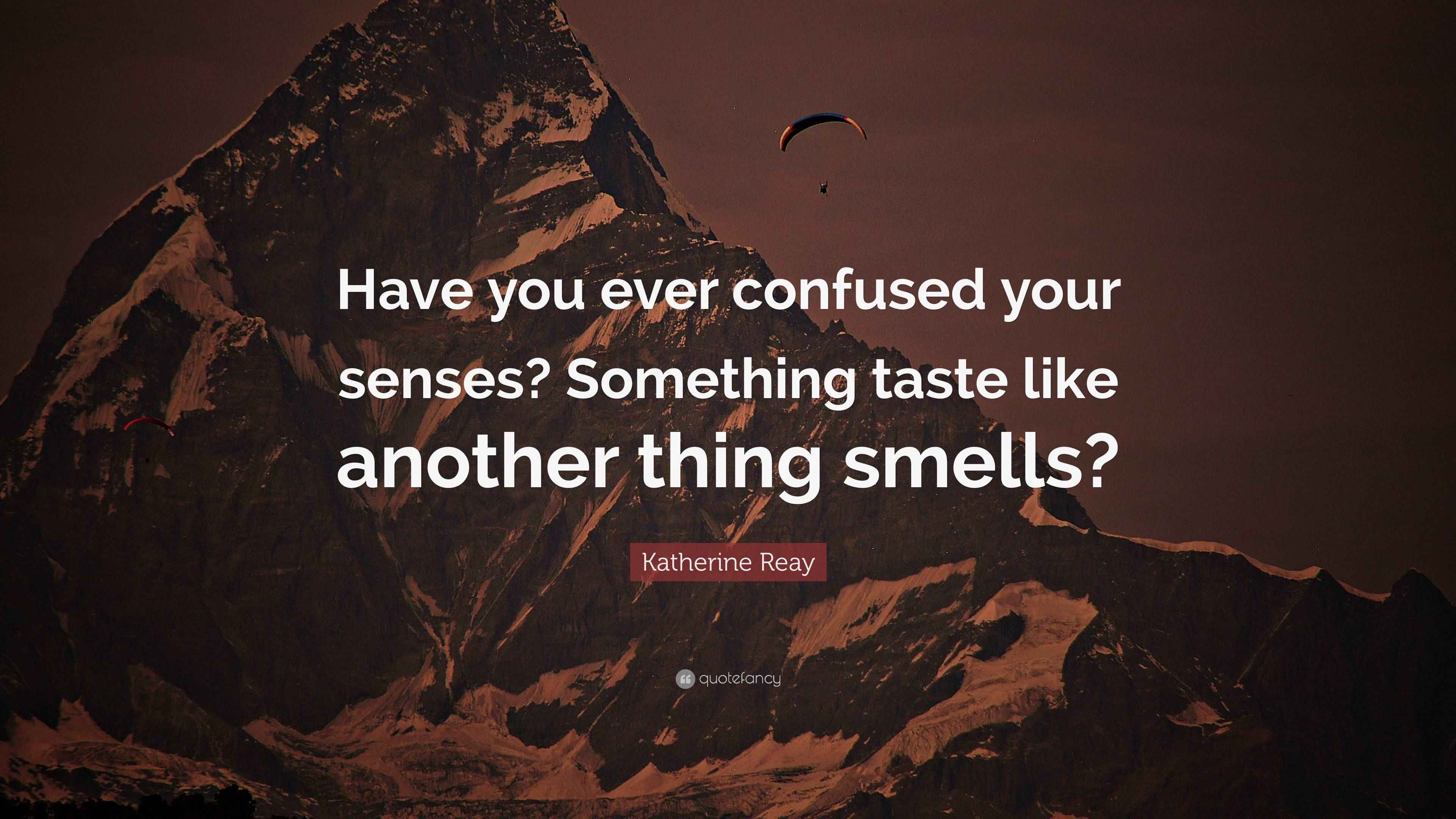 Katherine Reay Quote: “Have you ever confused your senses? Something ...