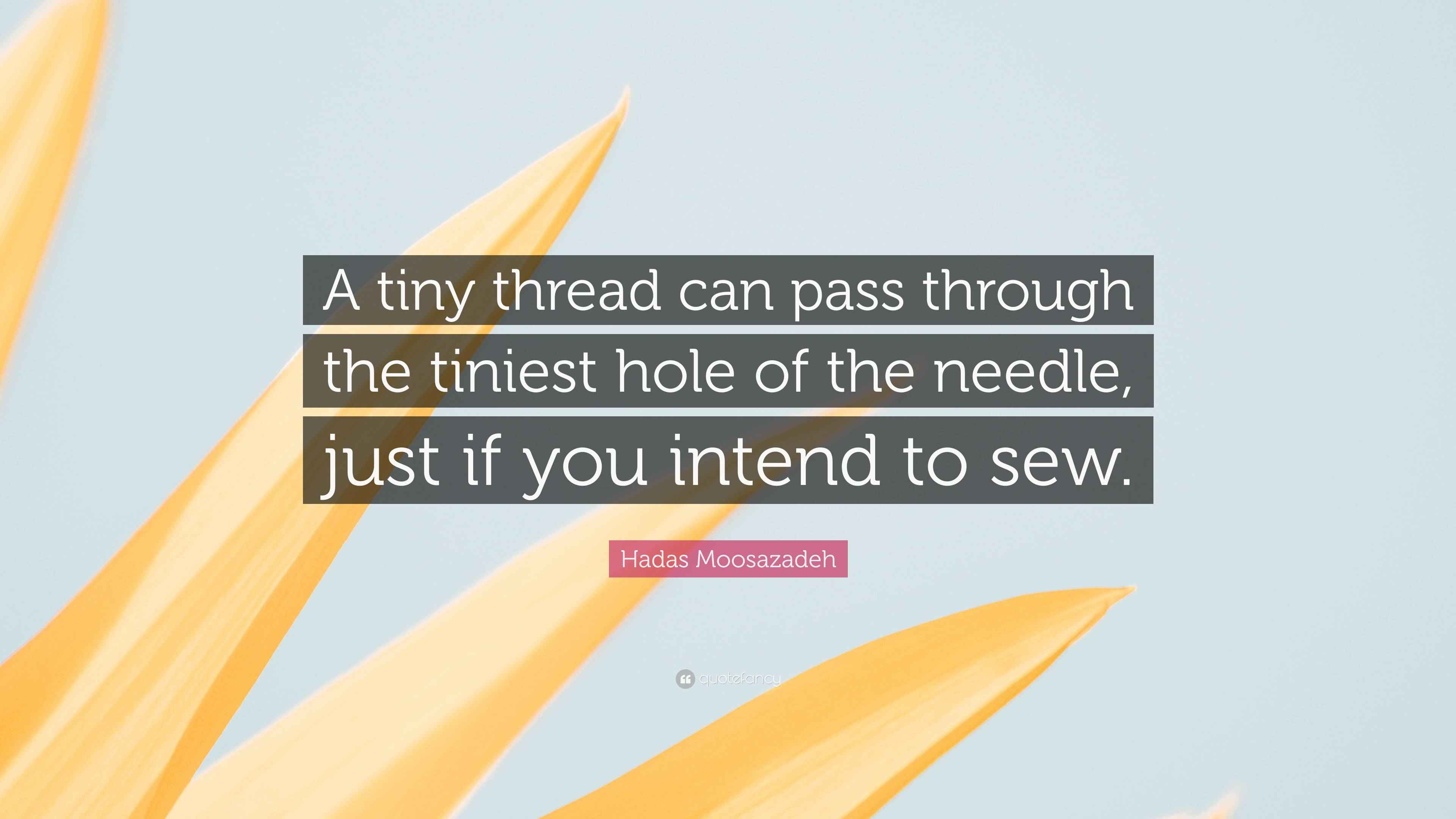 Hadas Moosazadeh Quote: “A tiny thread can pass through the tiniest ...