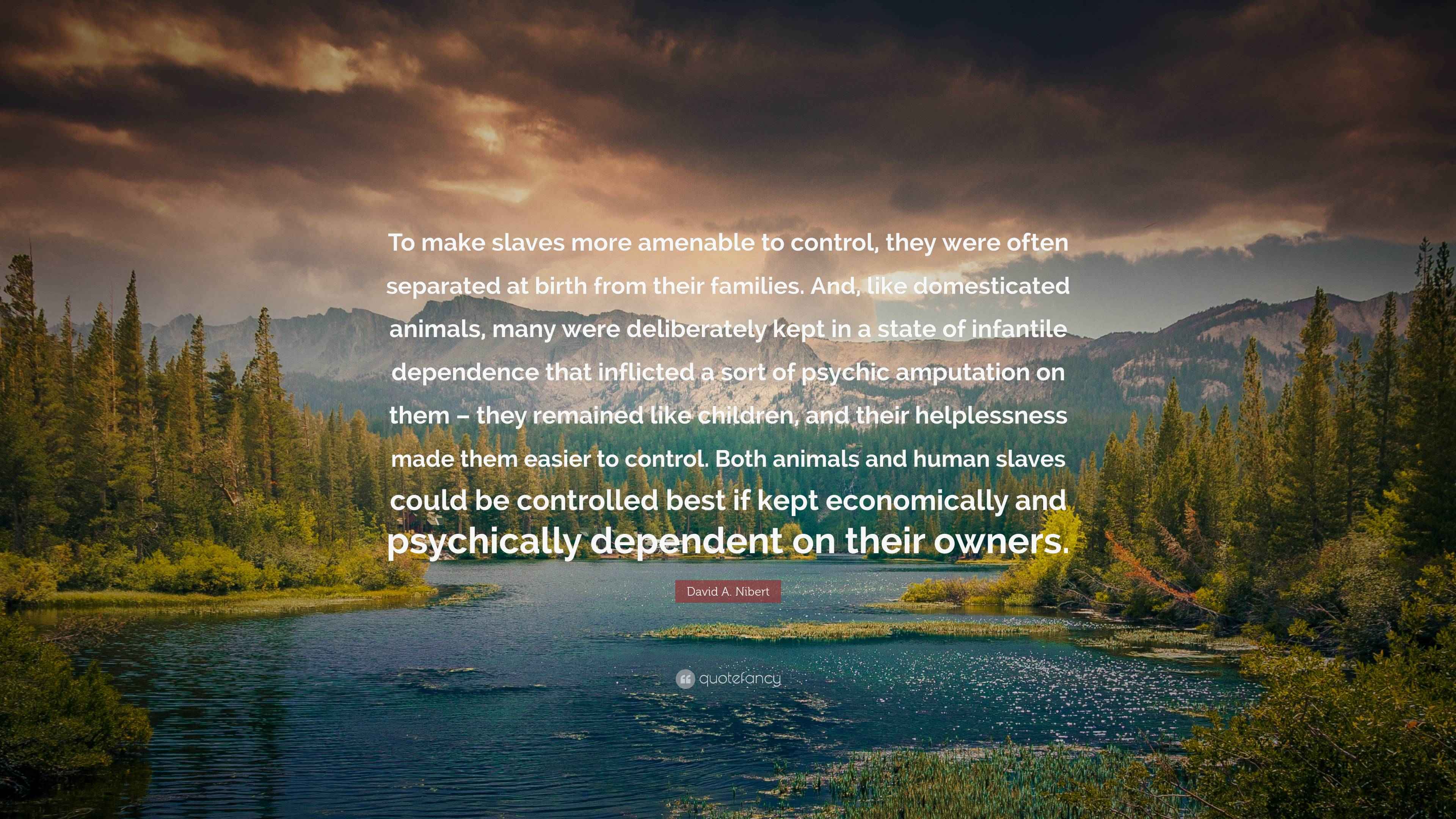 David A. Nibert Quote: “To make slaves more amenable to control, they ...