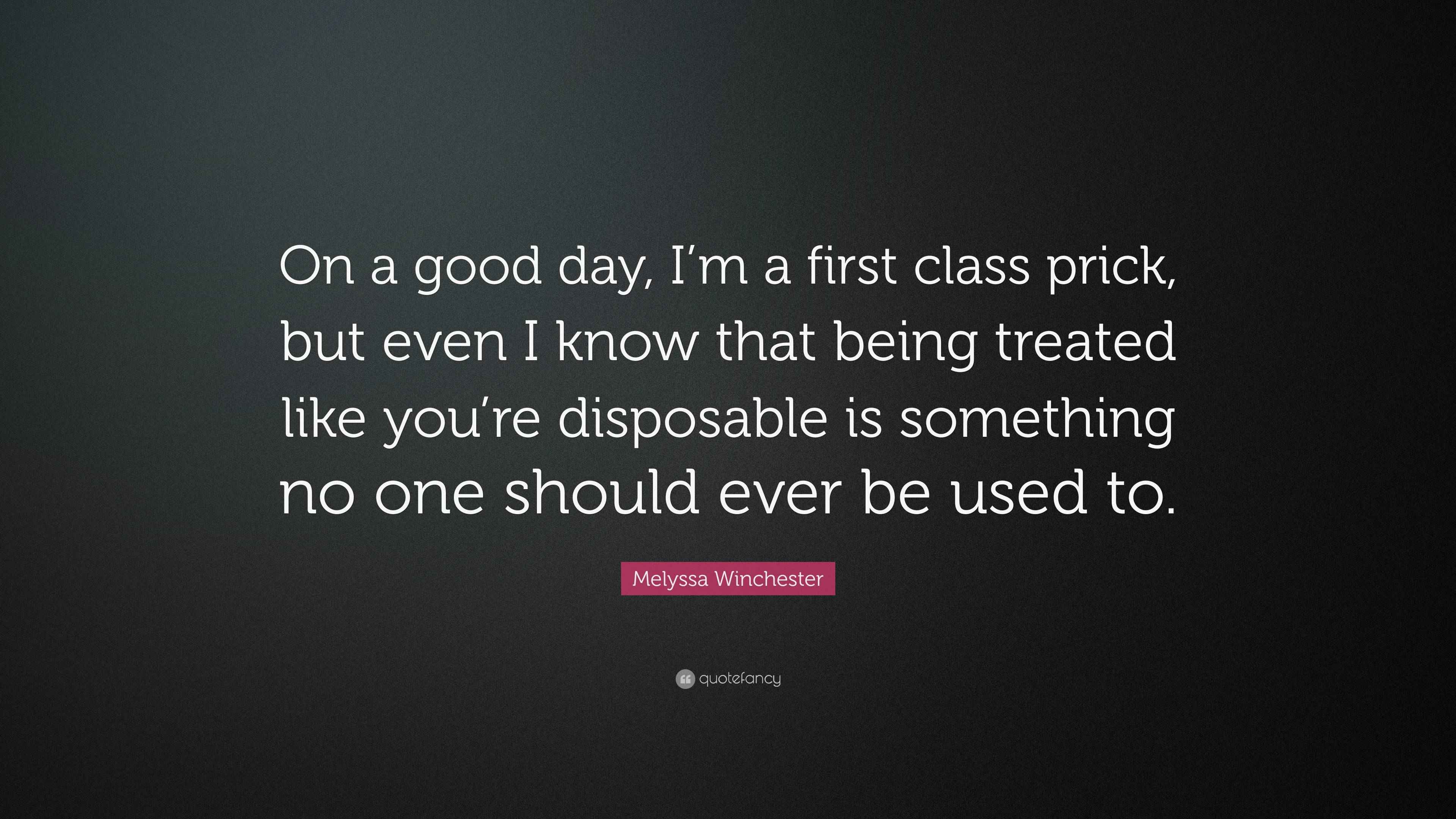 Melyssa Winchester Quote: “On a good day, I’m a first class prick, but ...
