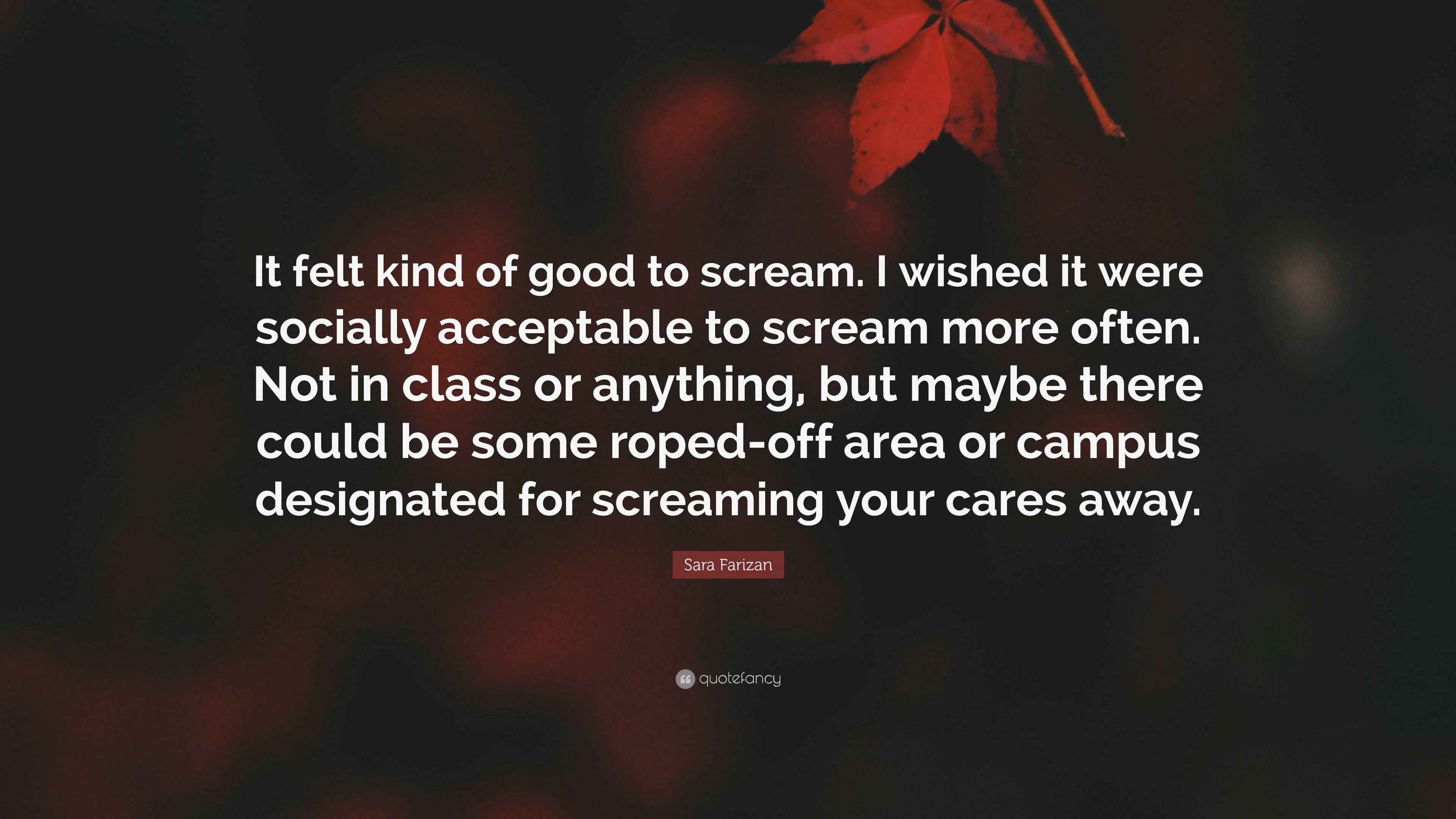 Sara Farizan Quote: “It felt kind of good to scream. I wished it were ...