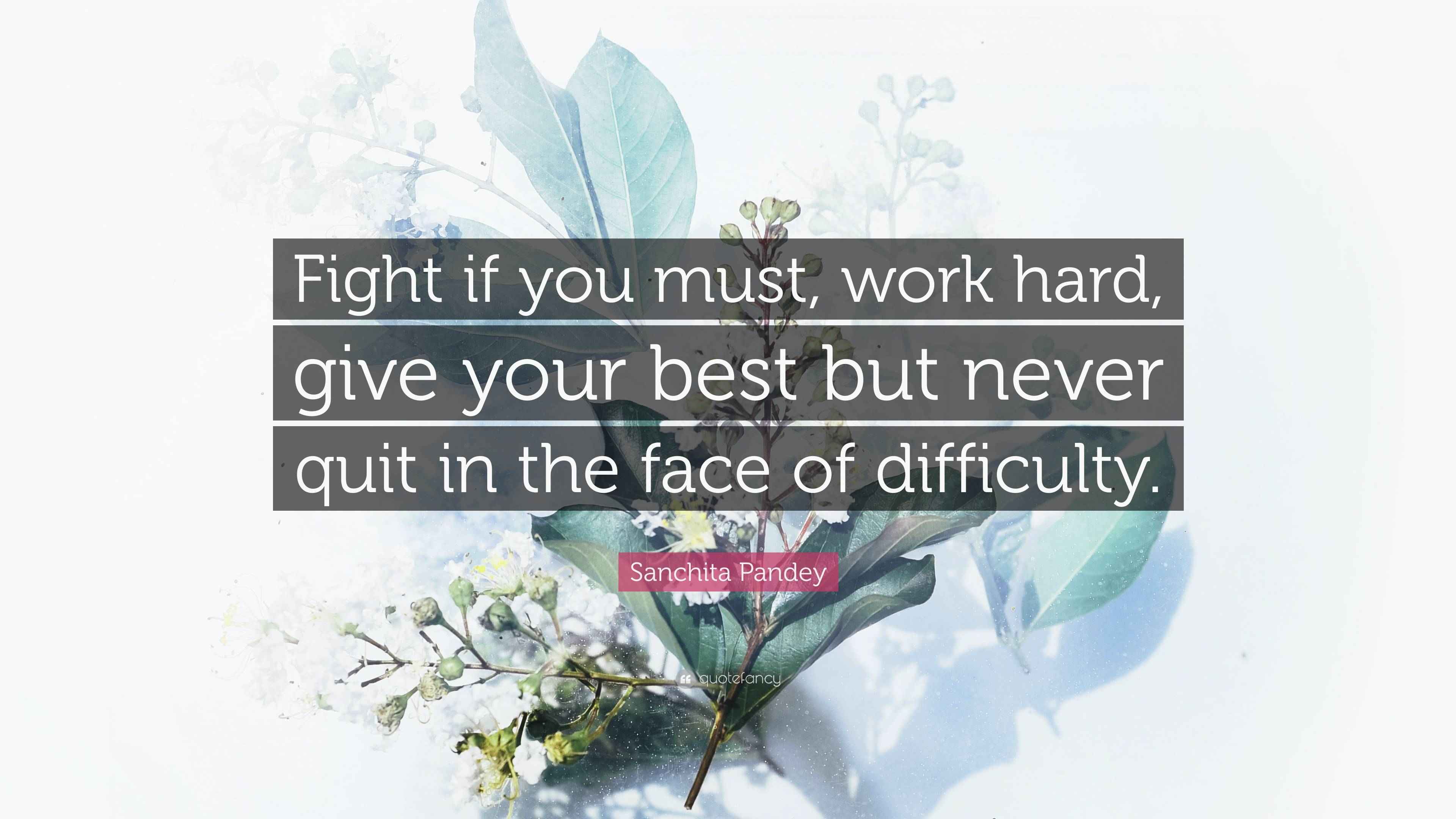 Sanchita Pandey Quote: “Fight if you must, work hard, give your best ...