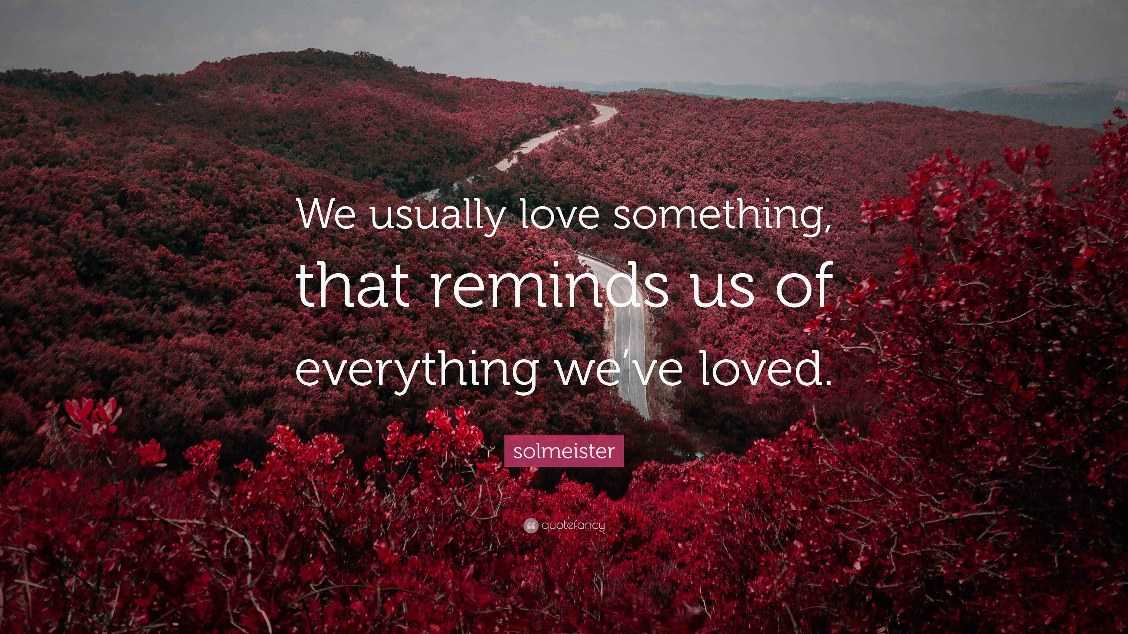 solmeister Quote: “We usually love something, that reminds us of ...