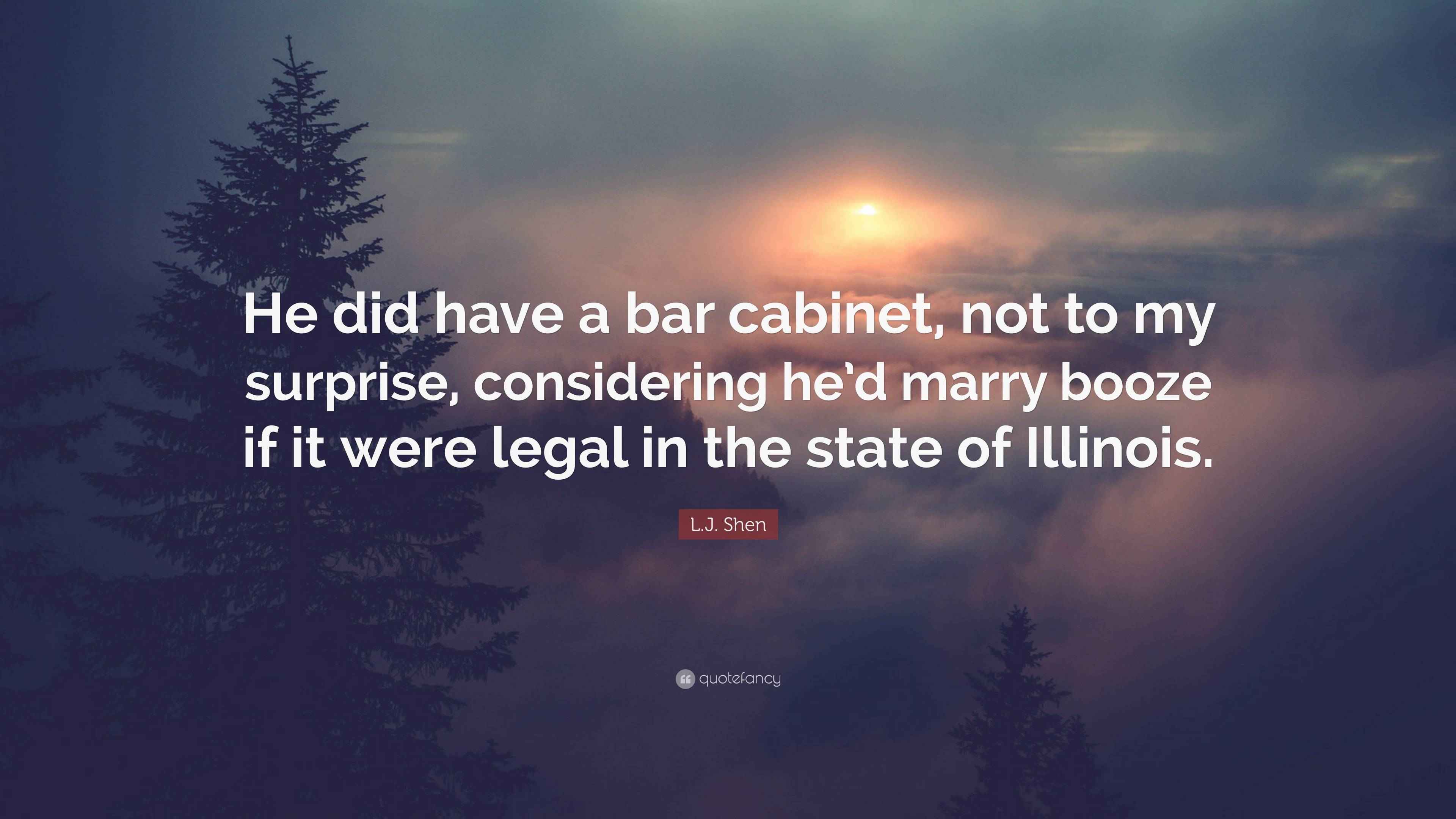 L.J. Shen Quote: “He did have a bar cabinet, not to my surprise ...