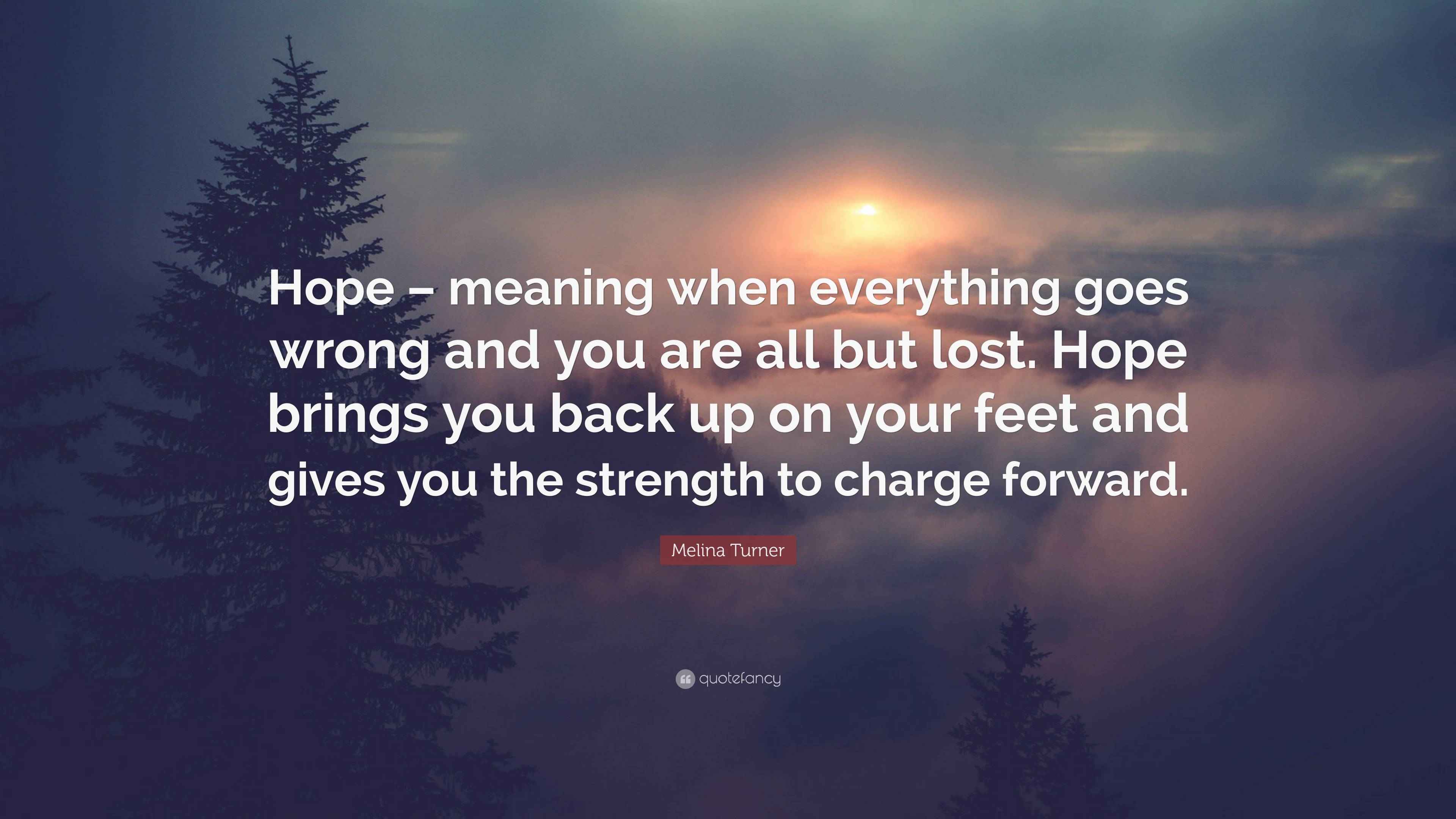 Melina Turner Quote: “Hope – meaning when everything goes wrong and you ...