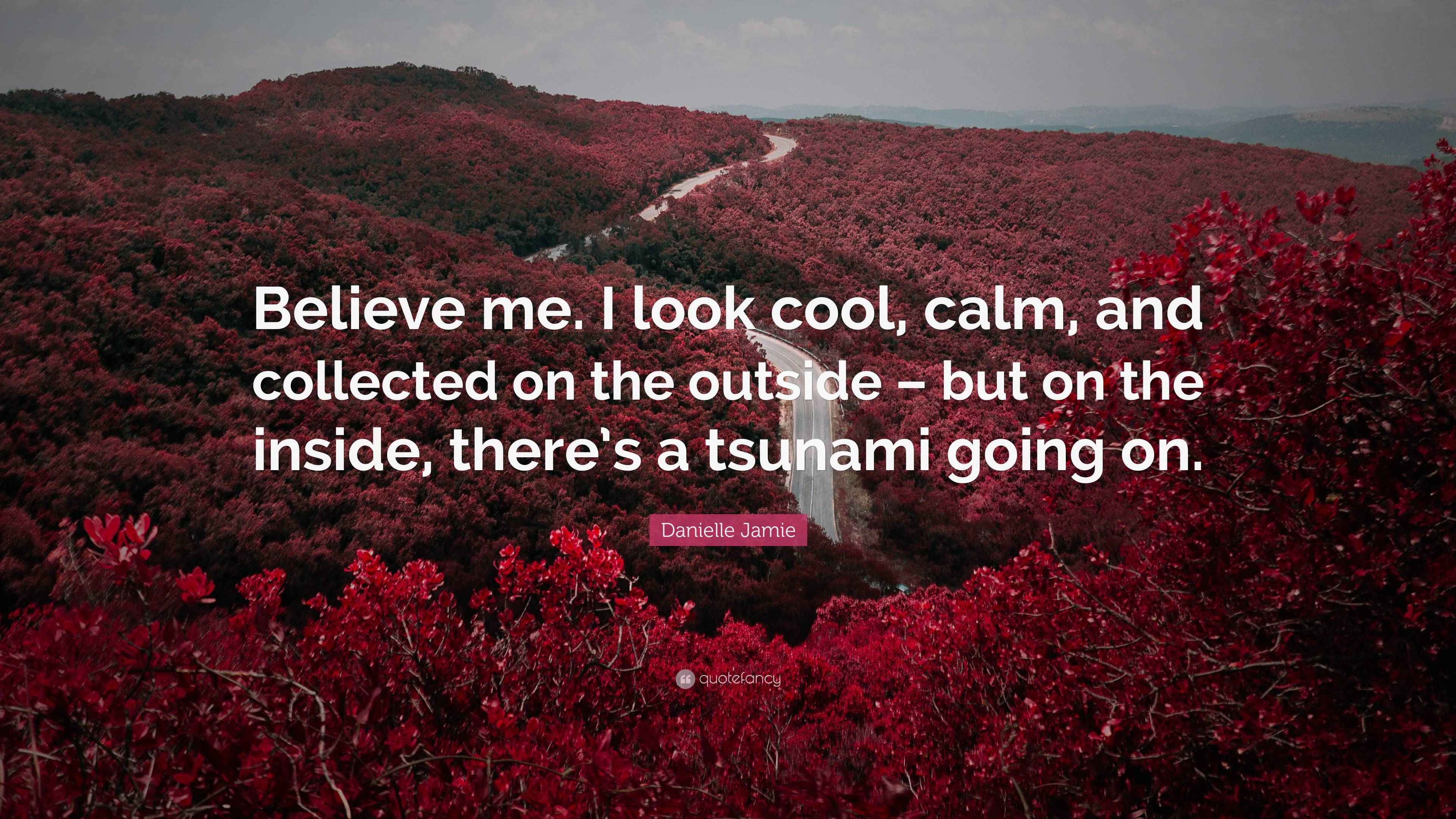 Danielle Jamie Quote: “Believe me. I look cool, calm, and collected on ...
