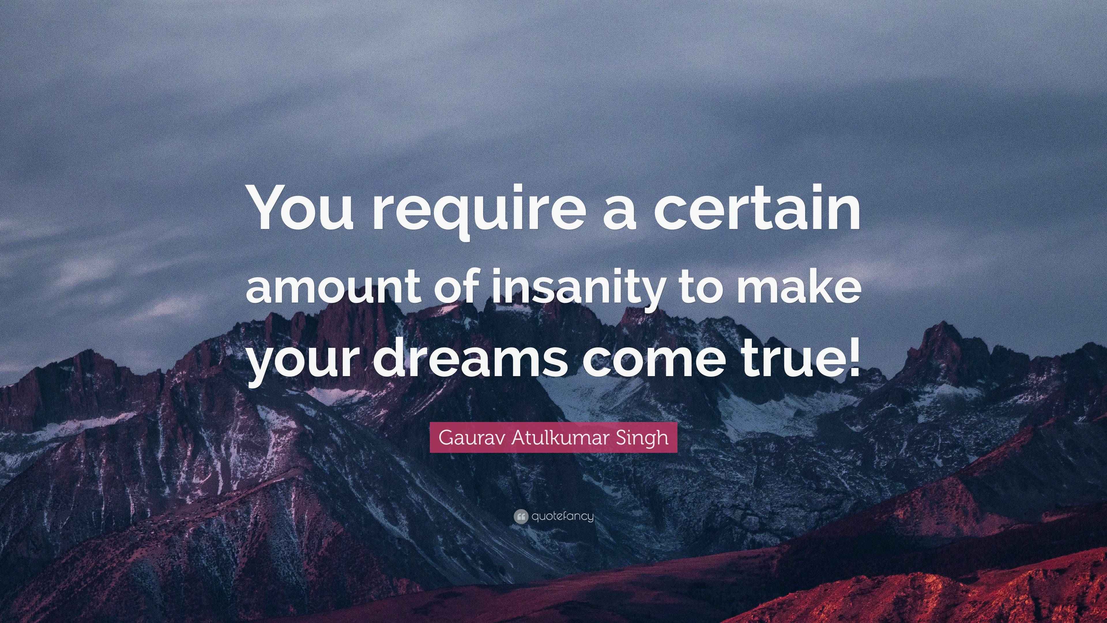 Gaurav Atulkumar Singh Quote: “You require a certain amount of insanity ...