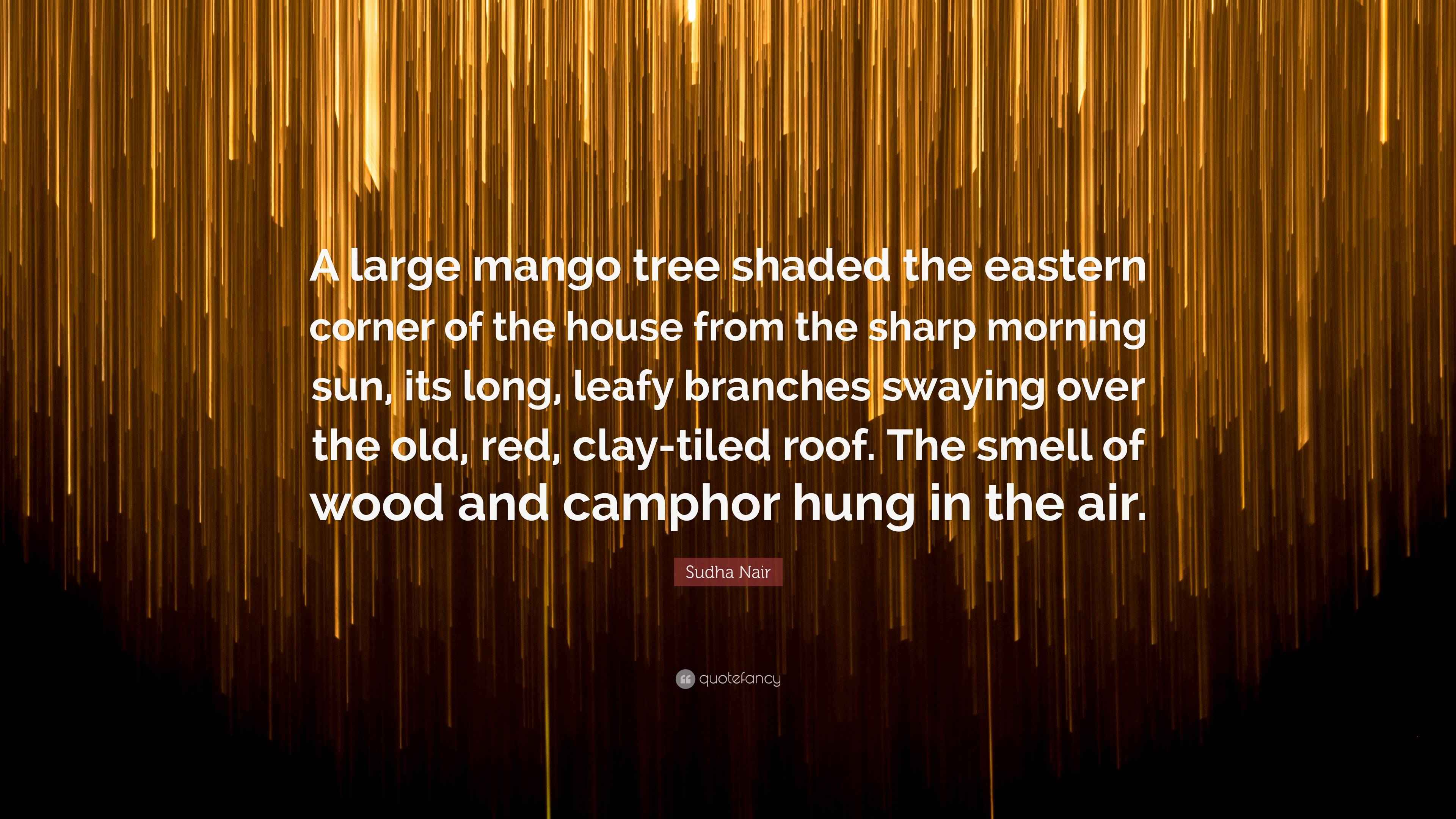 Sudha Nair Quote: “A large mango tree shaded the eastern corner of the ...