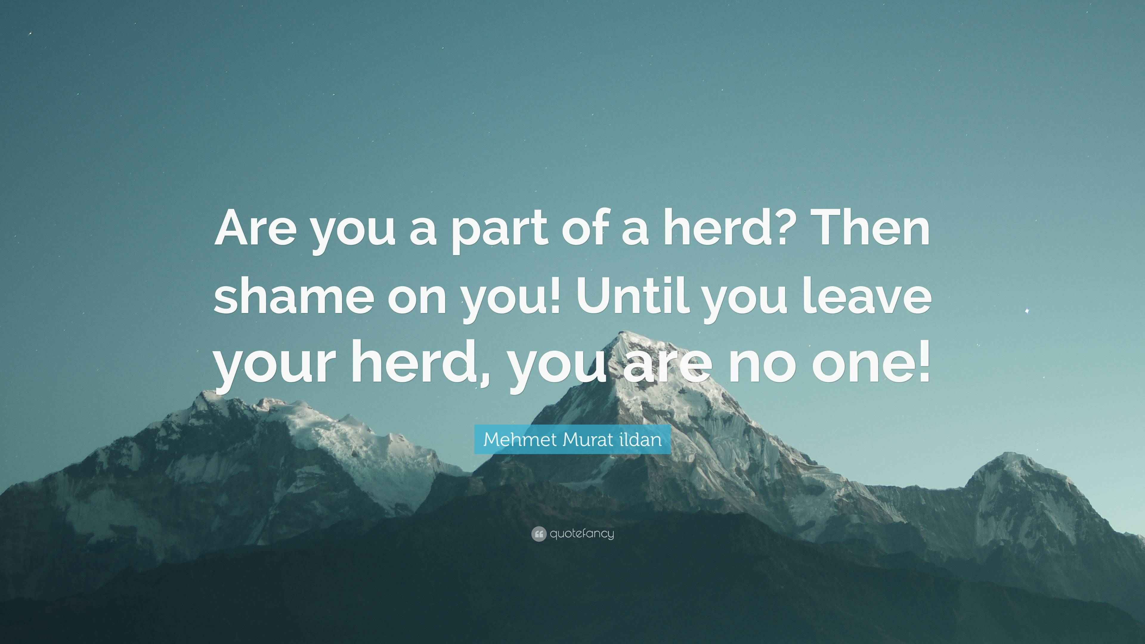 Mehmet Murat ildan Quote: “Are you a part of a herd? Then shame on you ...
