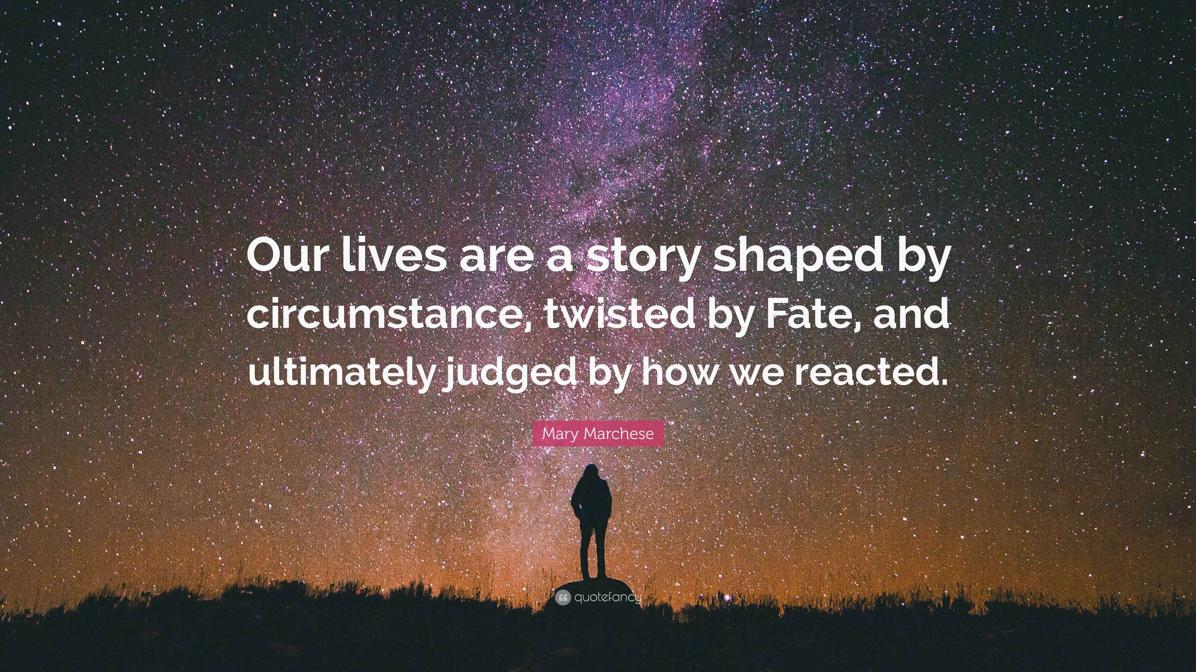 Mary Marchese Quote: “Our lives are a story shaped by circumstance ...