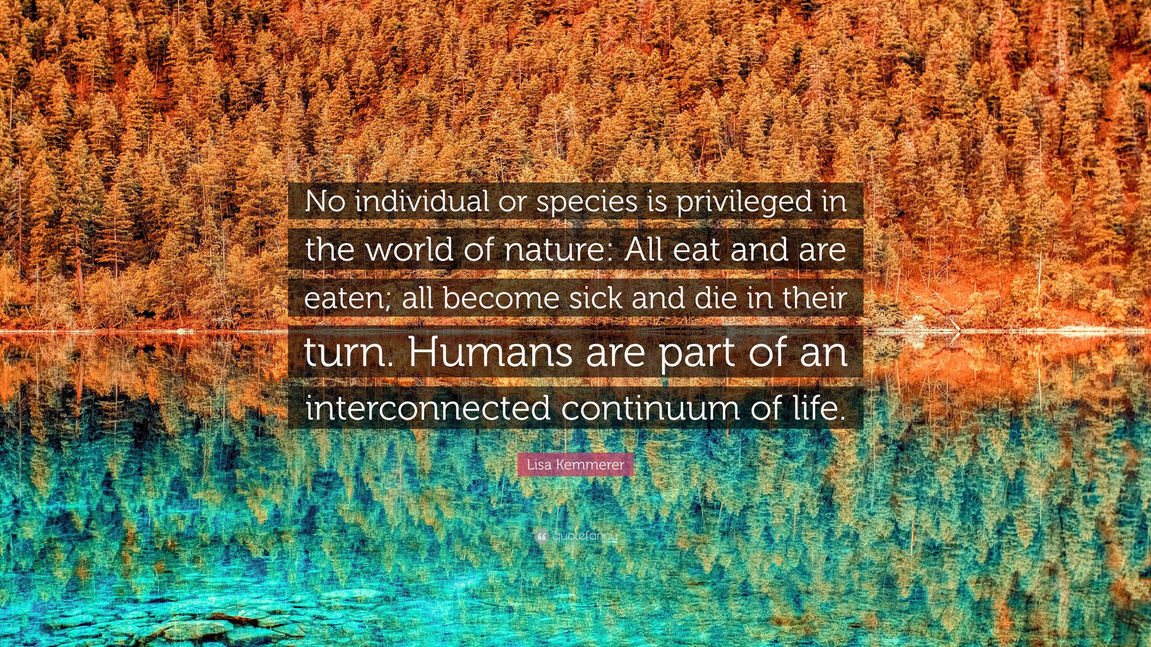 Lisa Kemmerer Quote: “No individual or species is privileged in the ...