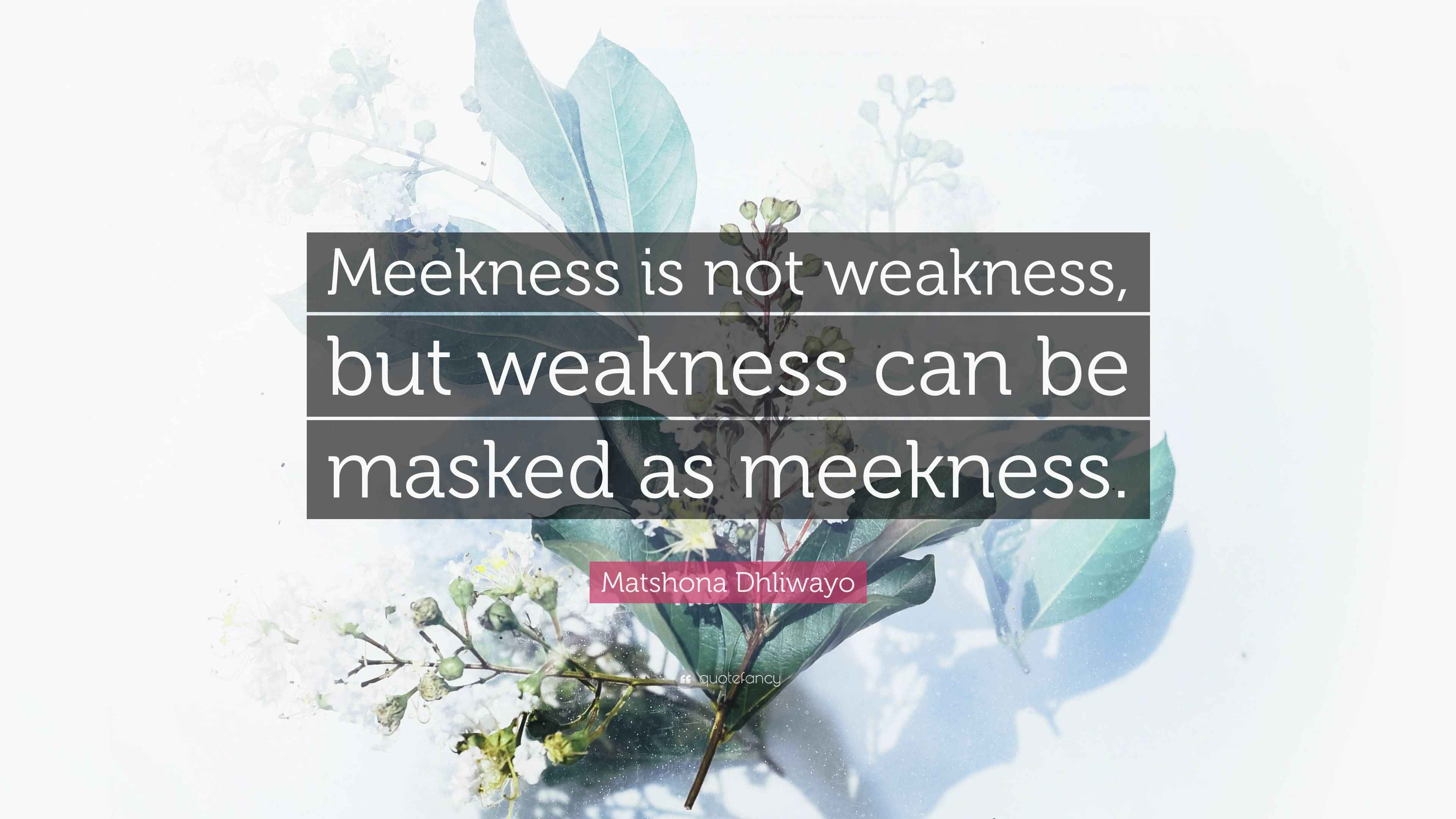 Matshona Dhliwayo Quote: “Meekness is not weakness, but weakness can be ...