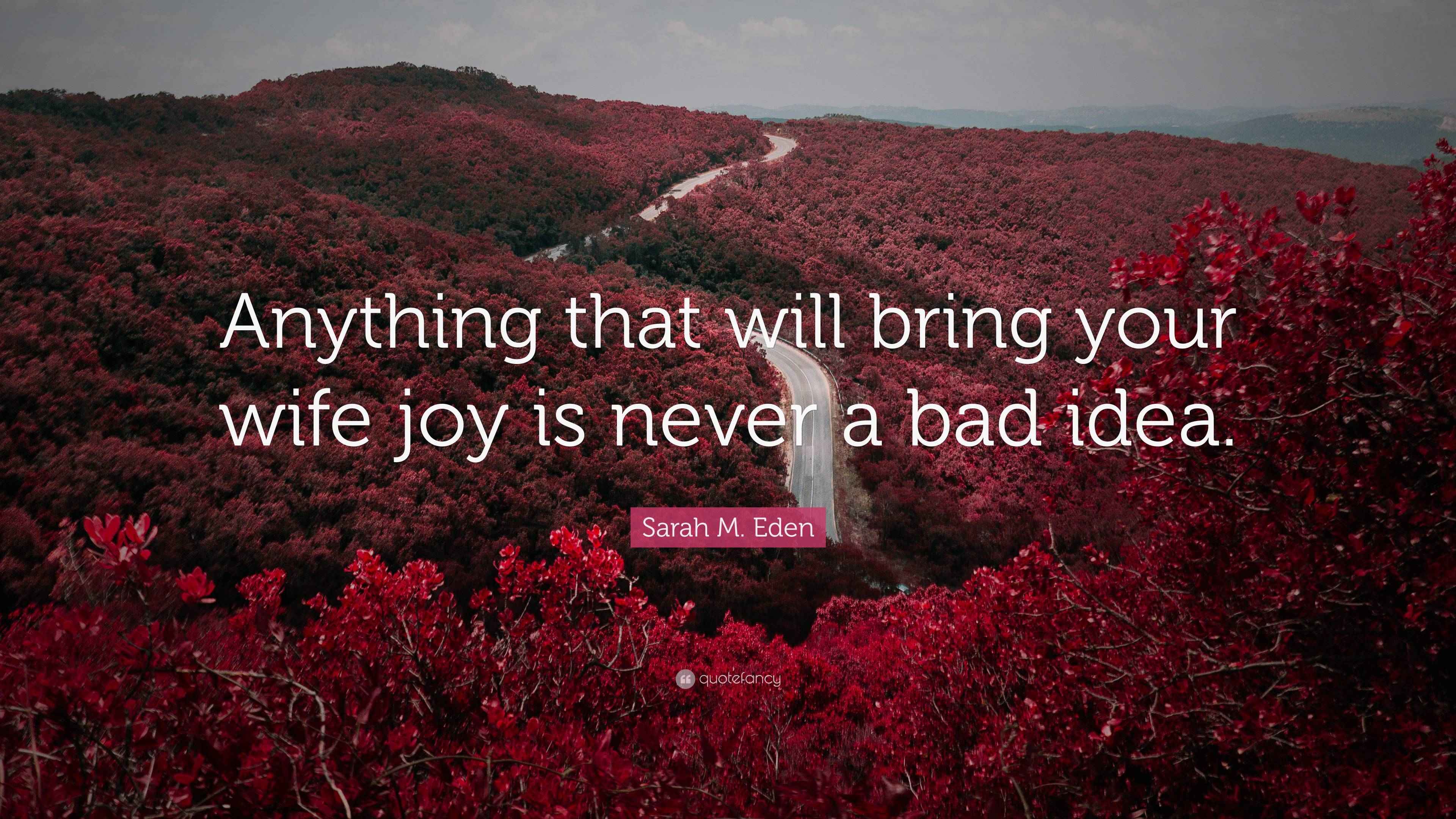 Sarah M. Eden Quote: “Anything that will bring your wife joy is never a ...
