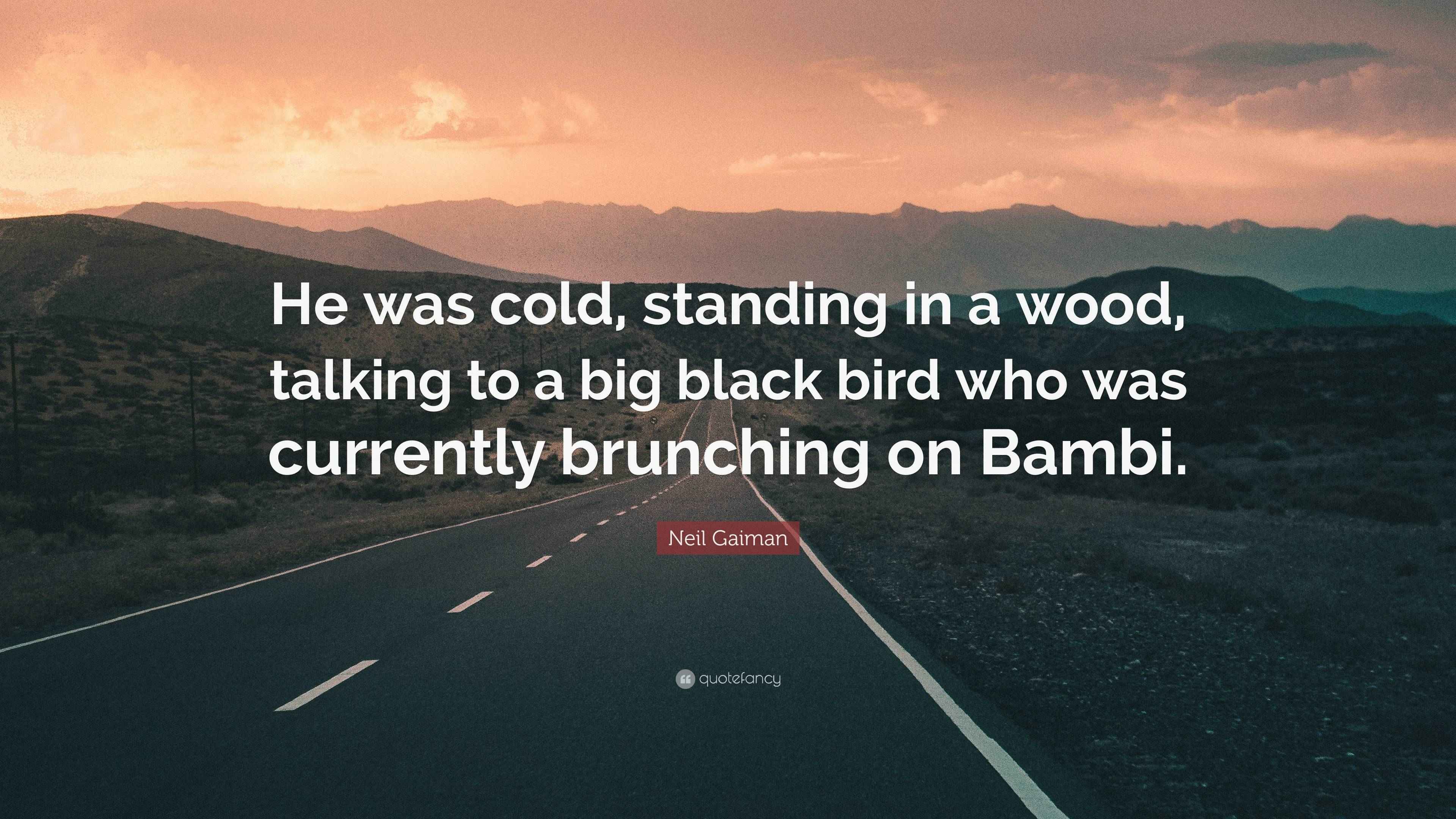 Neil Gaiman Quote: “He was cold, standing in a wood, talking to a big ...