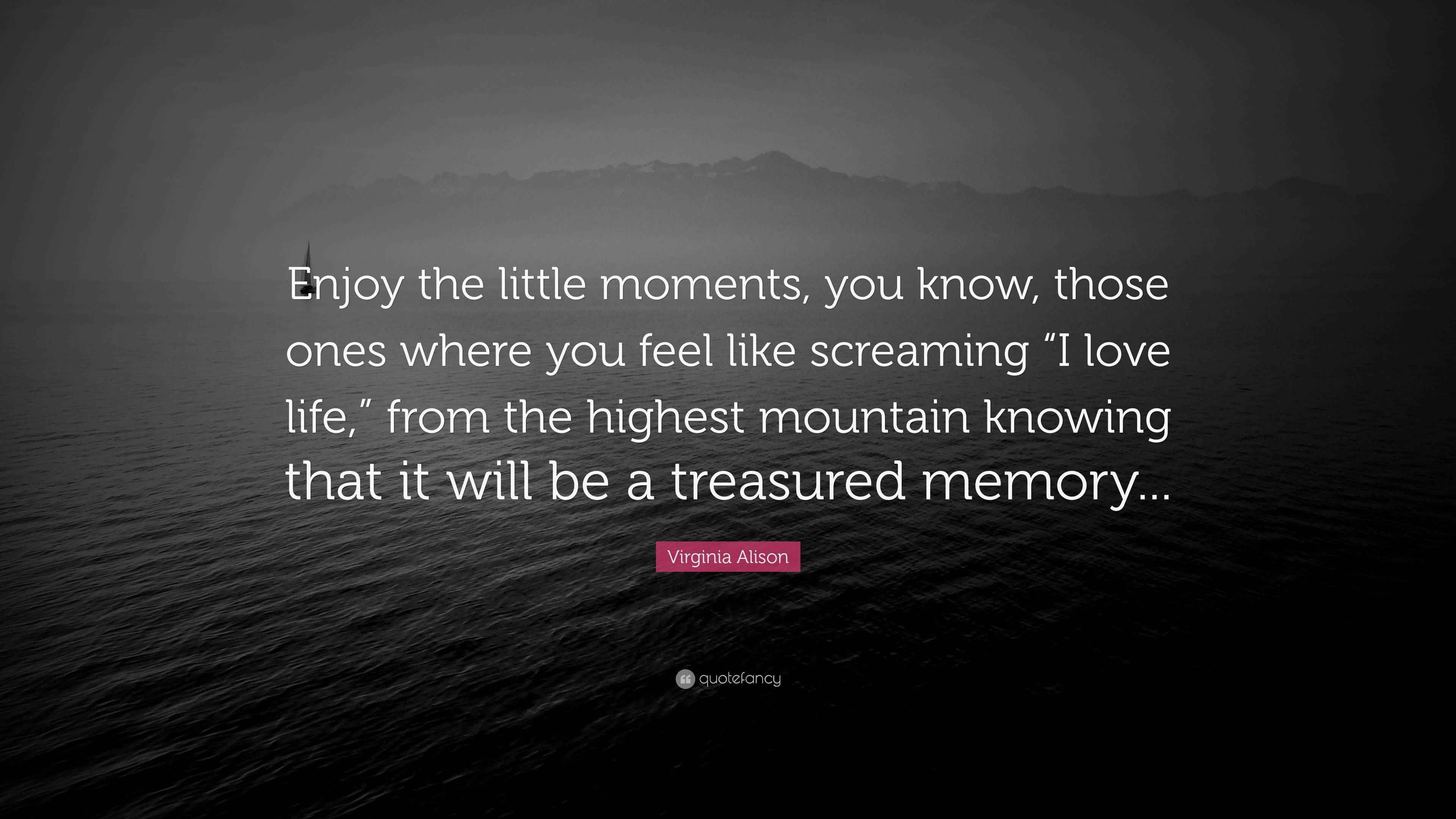 Virginia Alison Quote: “Enjoy the little moments, you know, those ones ...
