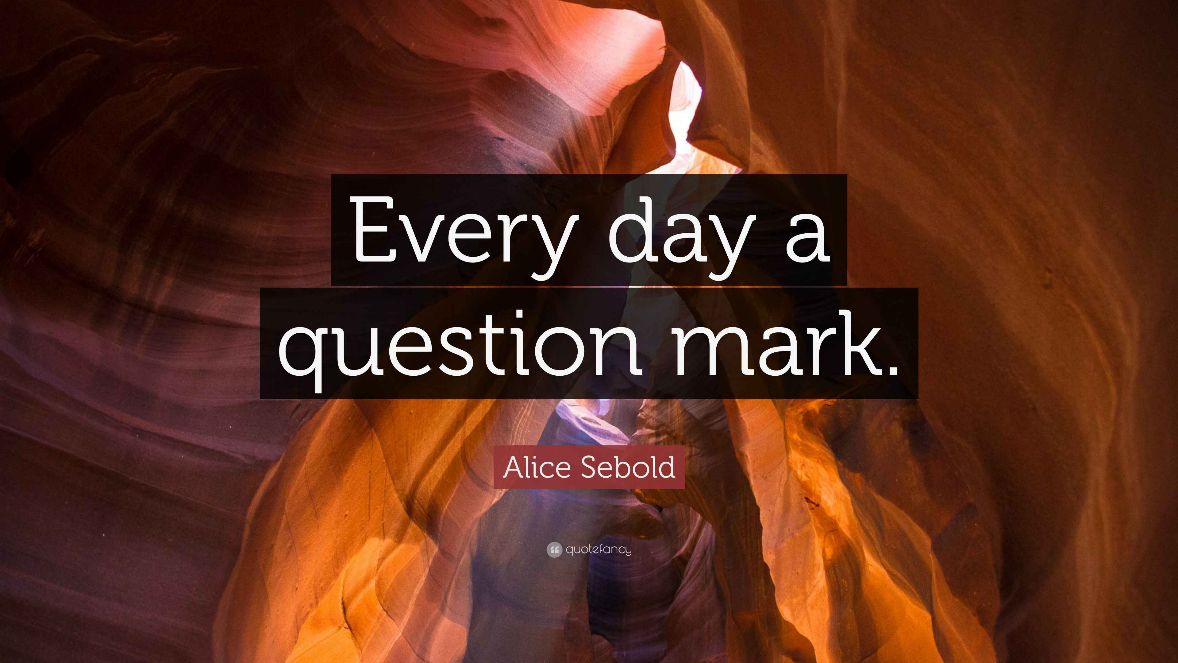 Alice Sebold Quote: “Every day a question mark.”