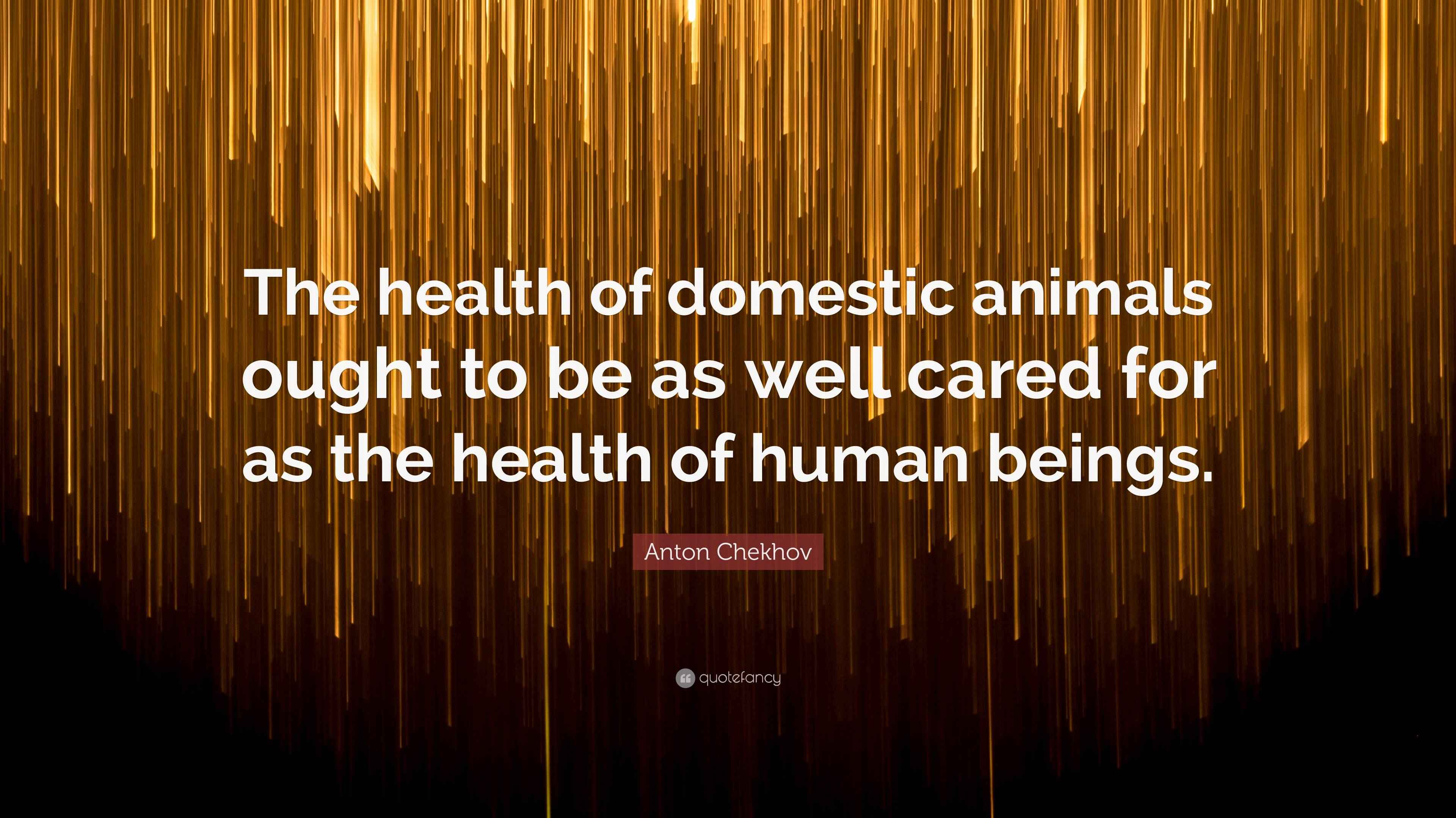 Anton Chekhov Quote: “The health of domestic animals ought to be as ...