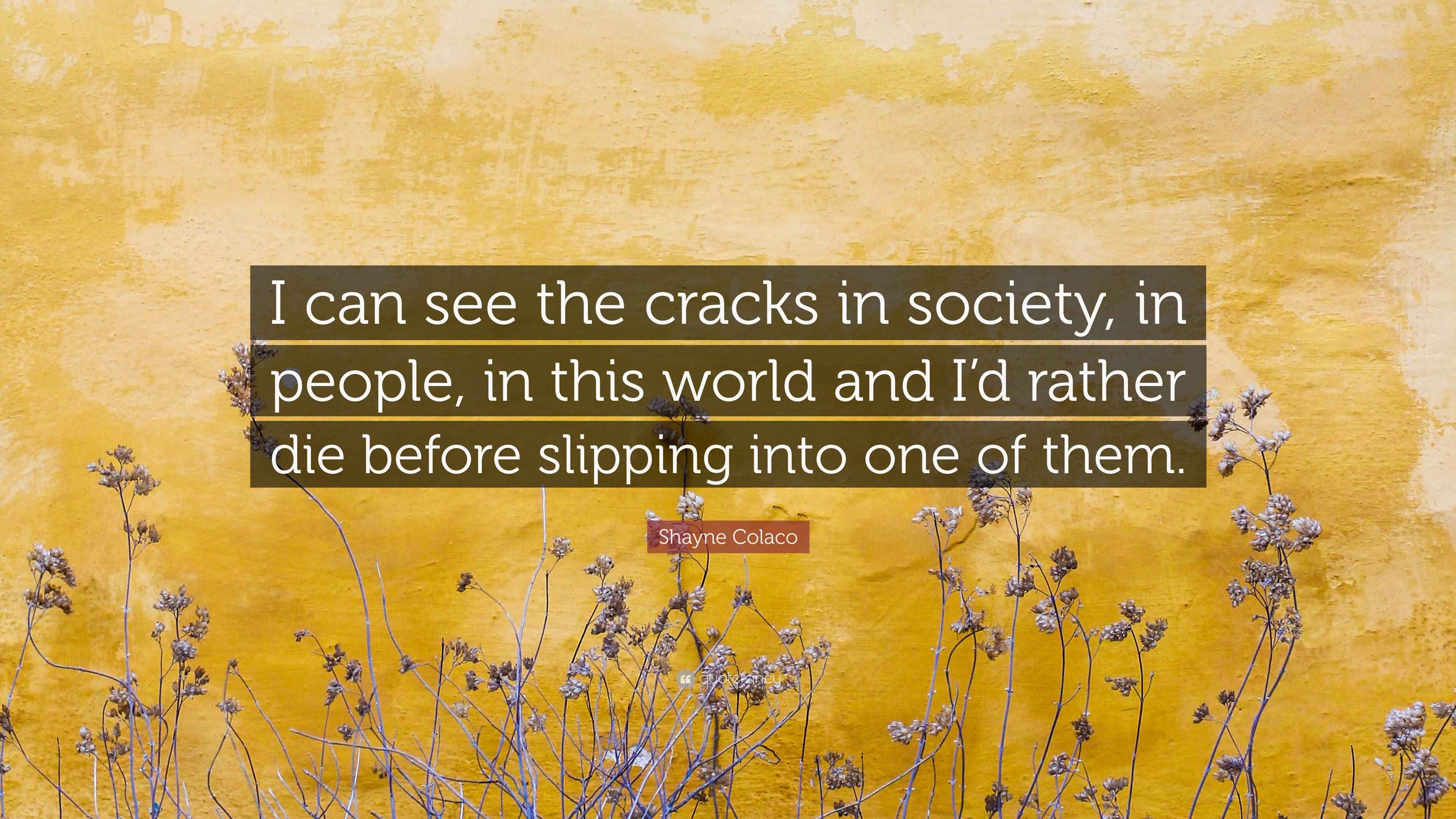 Shayne Colaco Quote: “I can see the cracks in society, in people, in ...