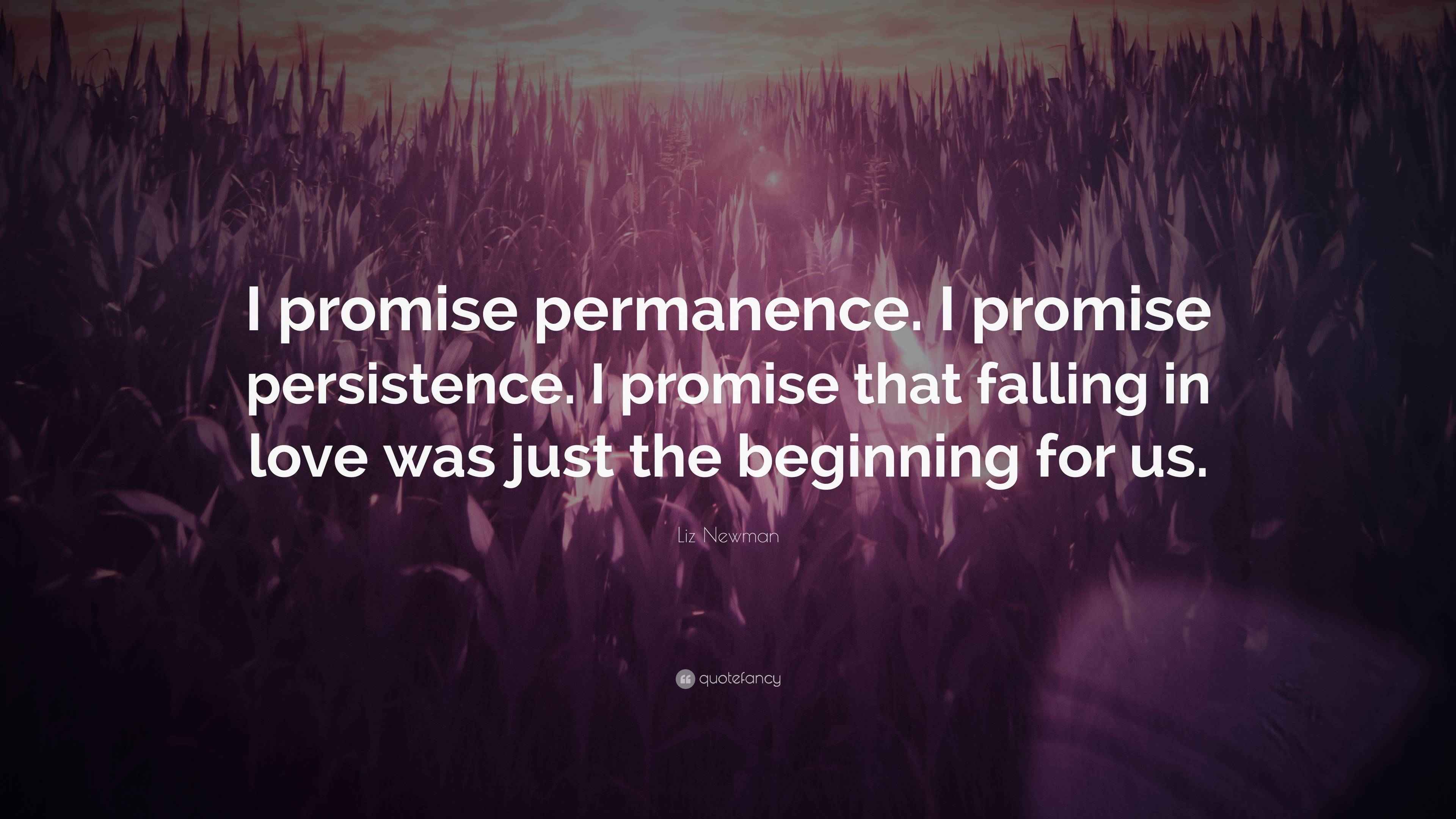 Liz Newman Quote: “I promise permanence. I promise persistence. I ...