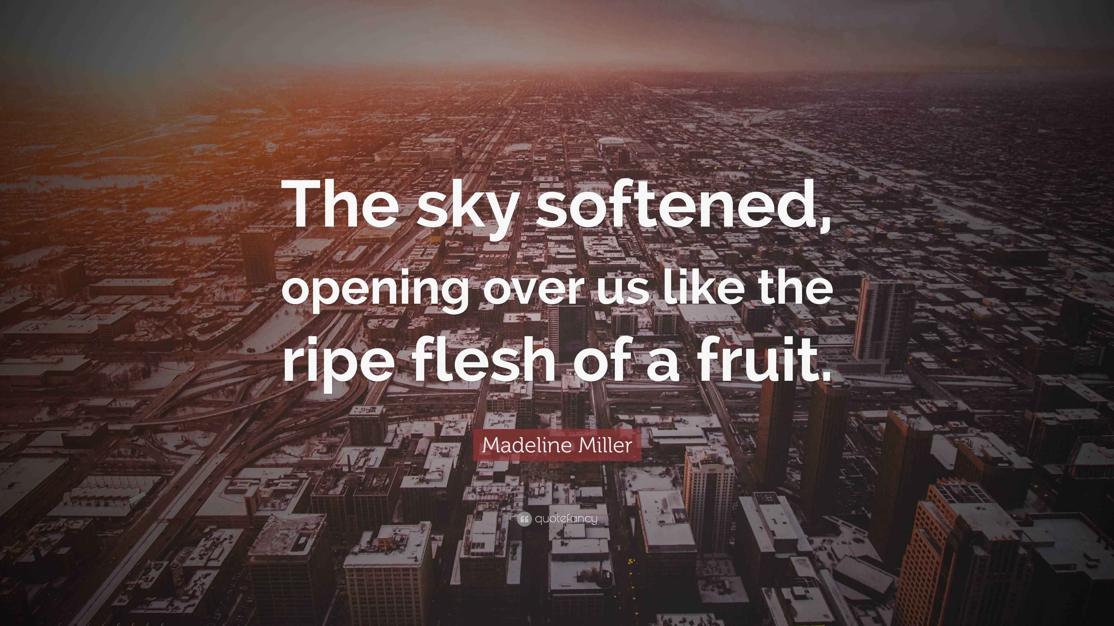 Madeline Miller Quote: “The sky softened, opening over us like the ripe ...