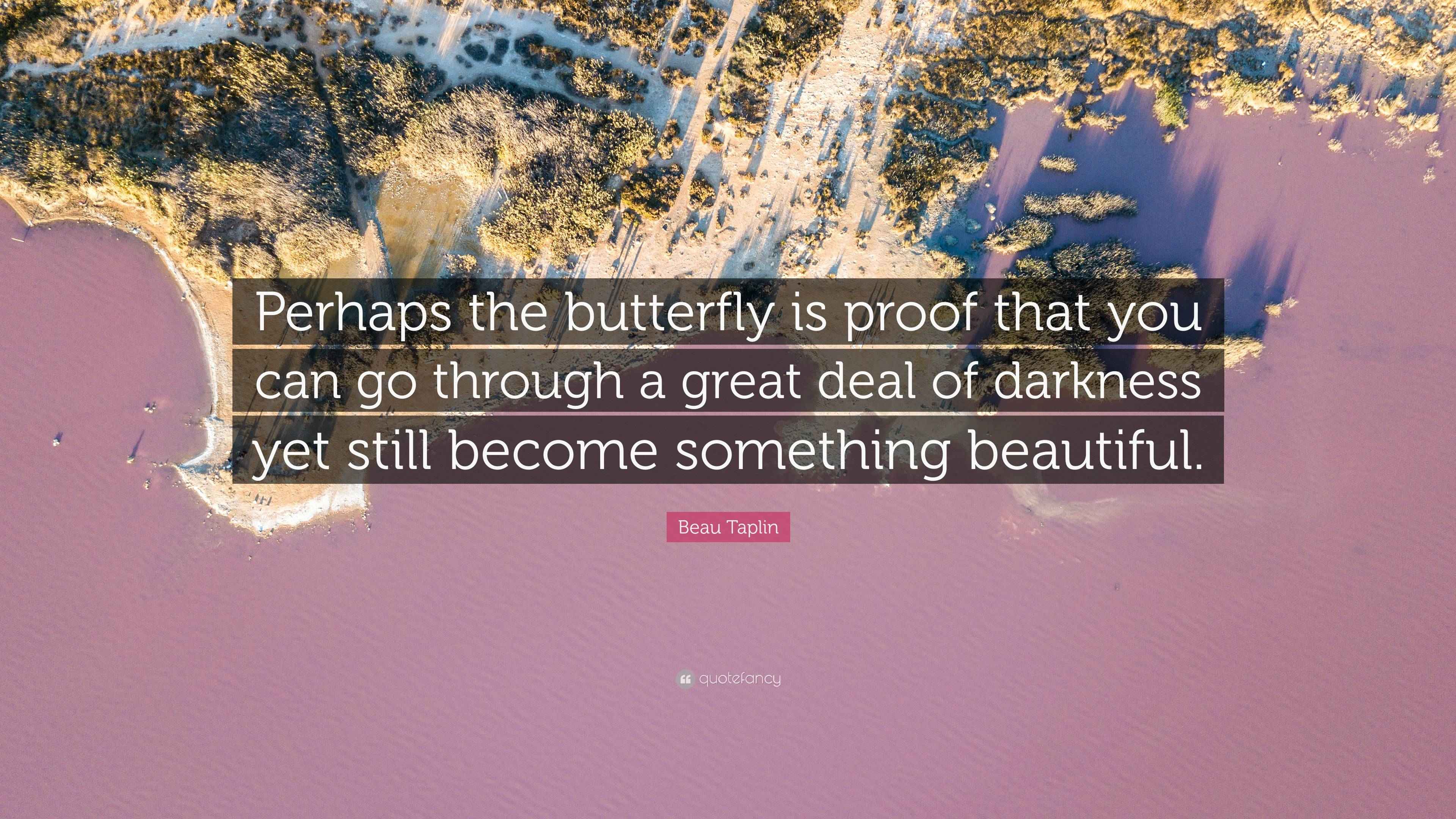 Beau Taplin Quote: “Perhaps the butterfly is proof that you can go ...