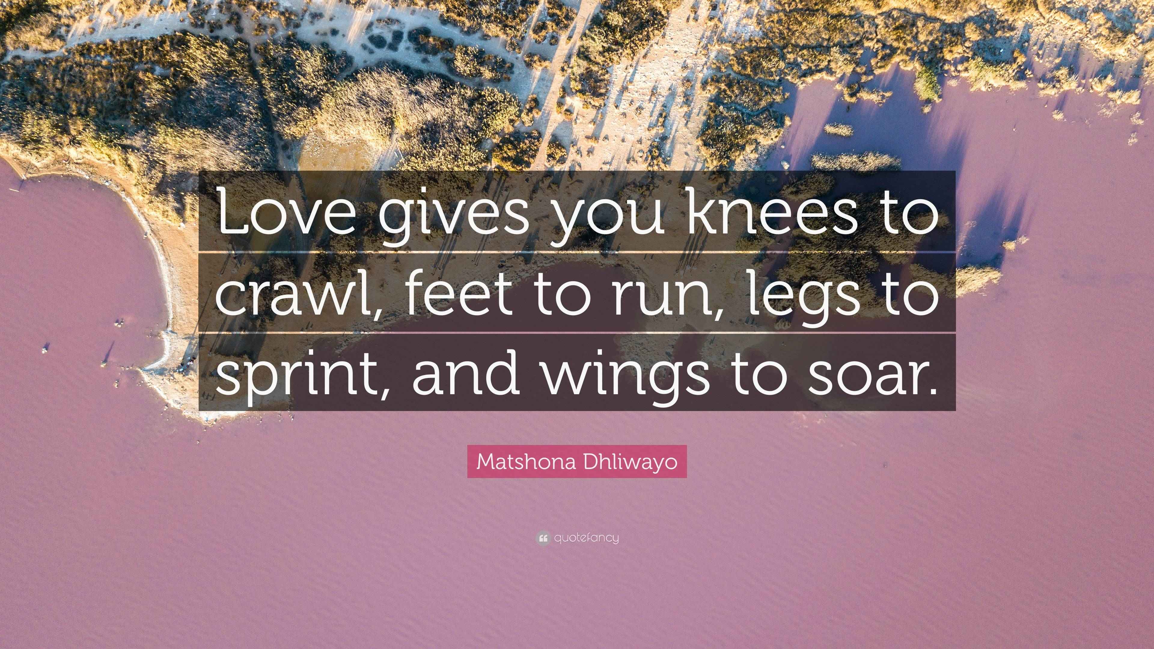 Matshona Dhliwayo Quote: “Love gives you knees to crawl, feet to run ...