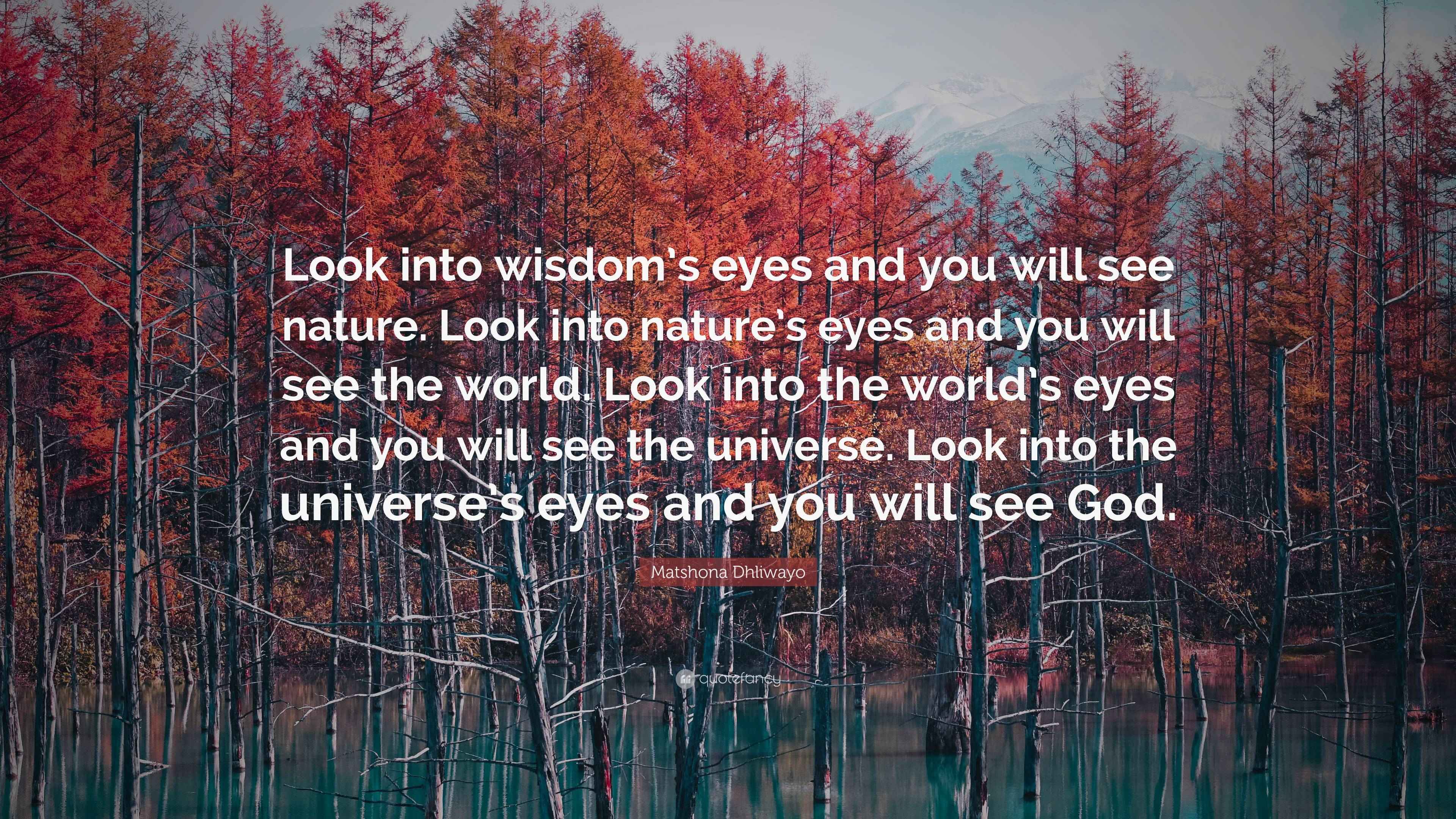 Matshona Dhliwayo Quote: “Look into wisdom’s eyes and you will see ...