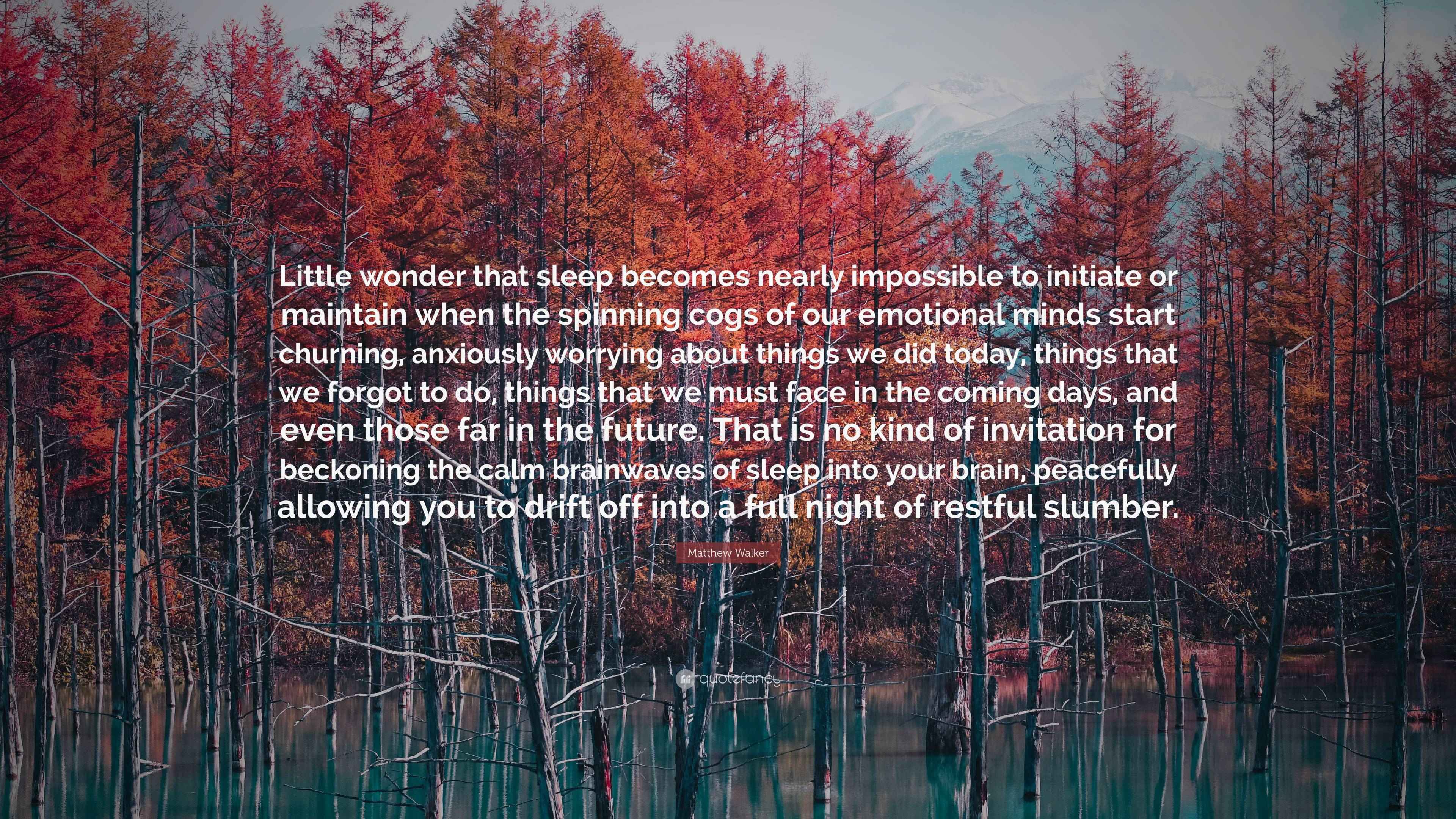 Matthew Walker Quote: “Little wonder that sleep becomes nearly ...