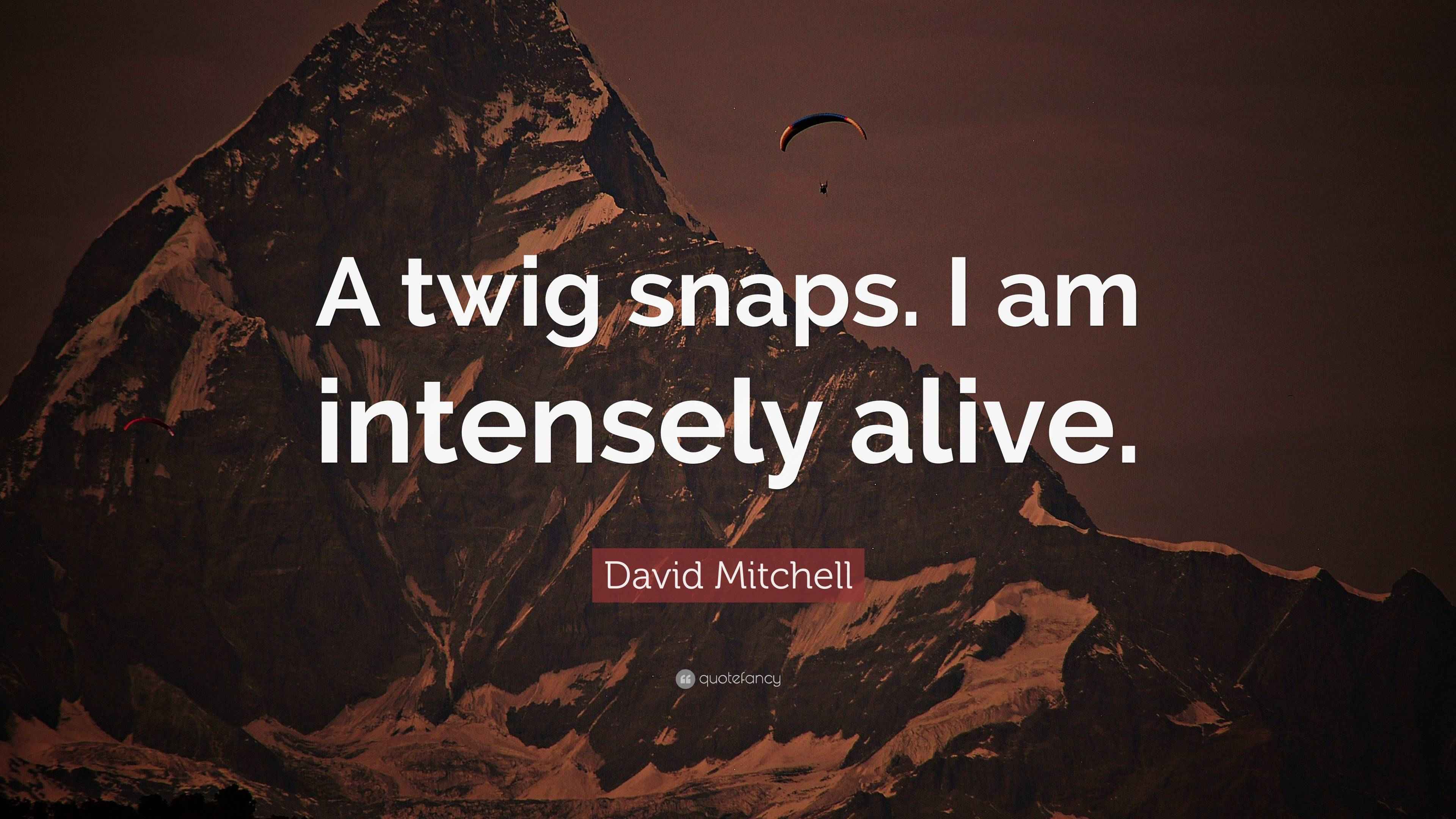 David Mitchell Quote: “A twig snaps. I am intensely alive.”