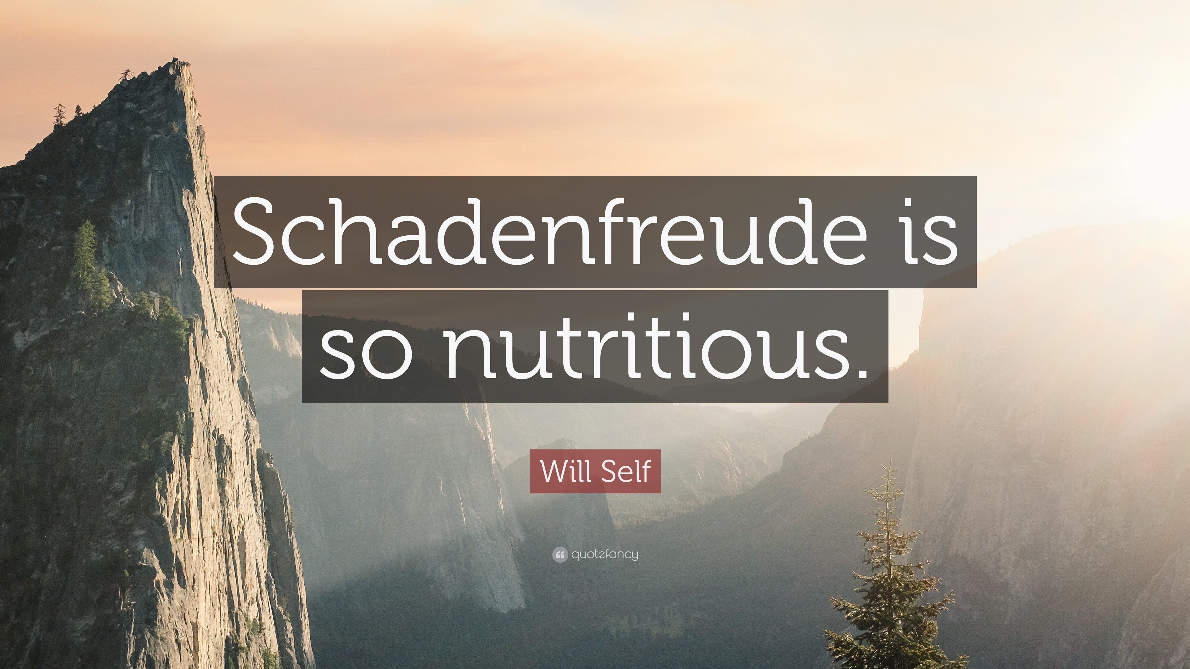 Will Self Quote: “Schadenfreude is so nutritious.”