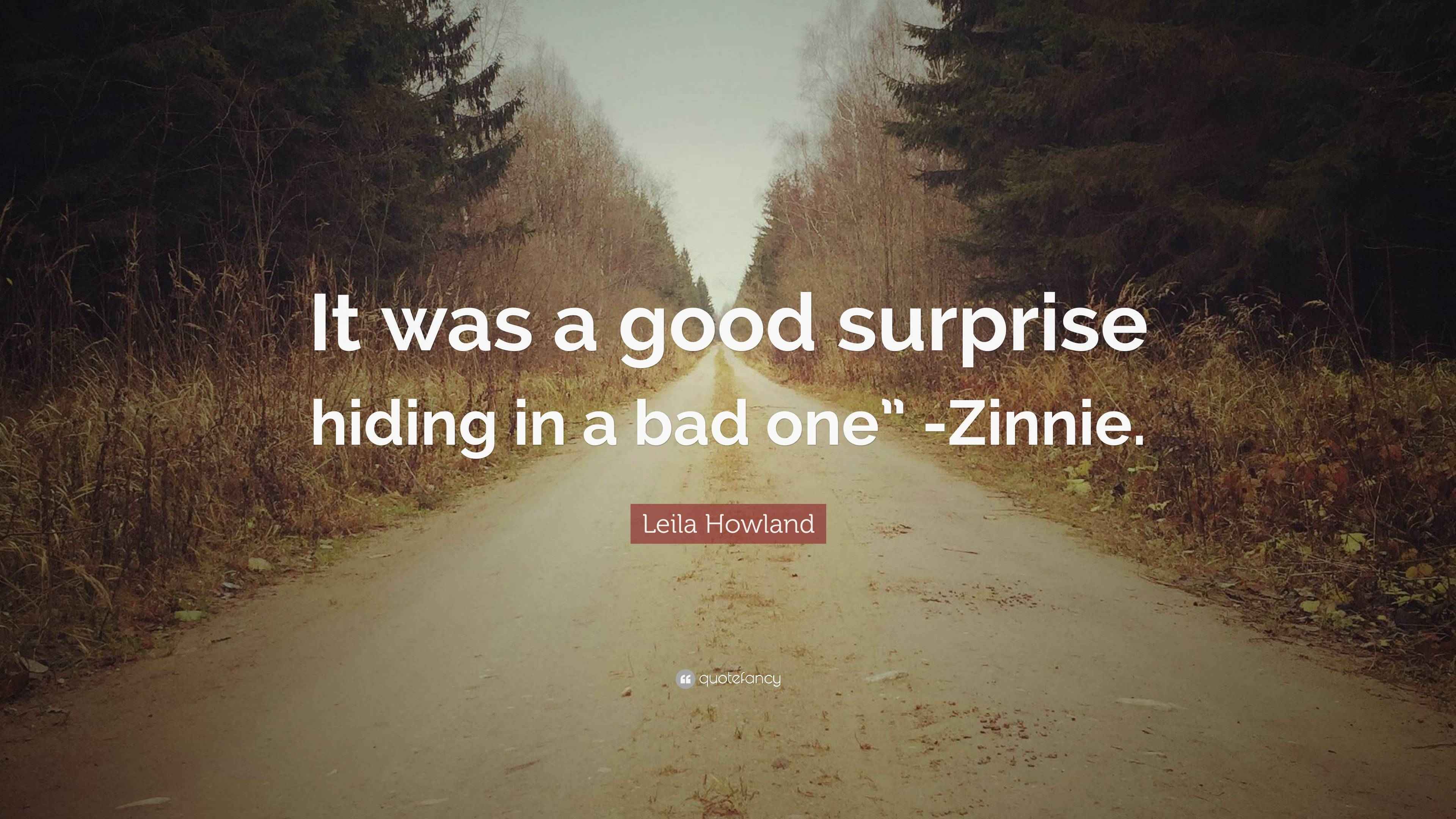 Leila Howland Quote: “It was a good surprise hiding in a bad one” -Zinnie.”