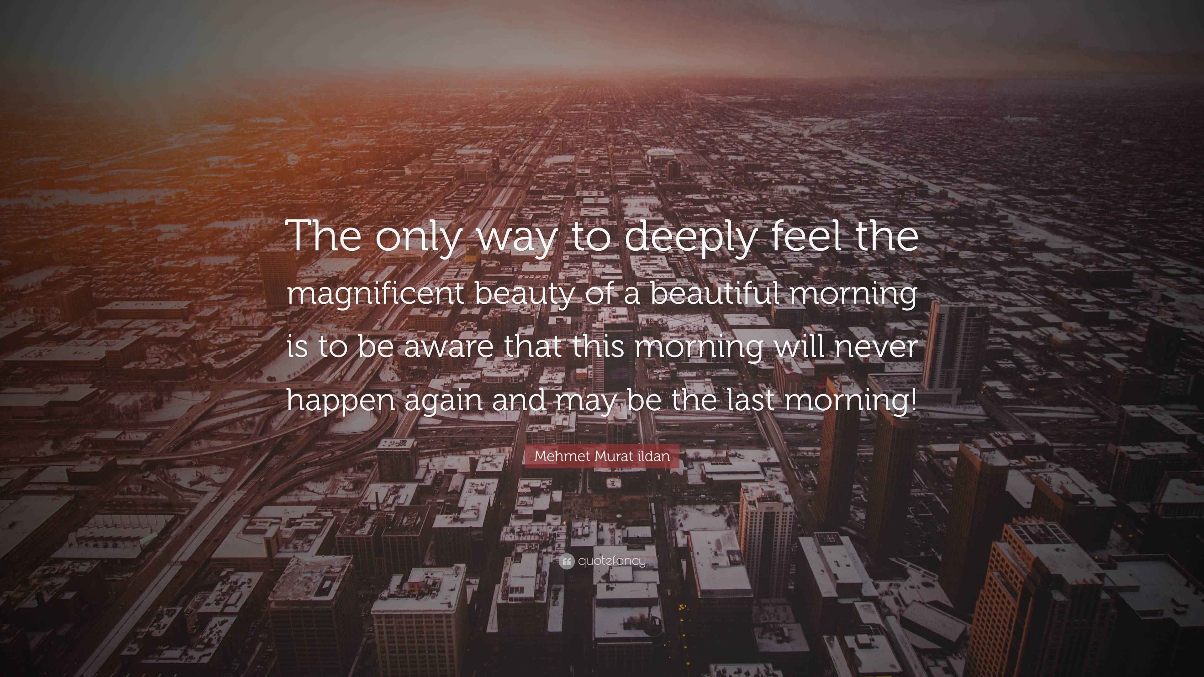 Mehmet Murat ildan Quote: “The only way to deeply feel the magnificent ...