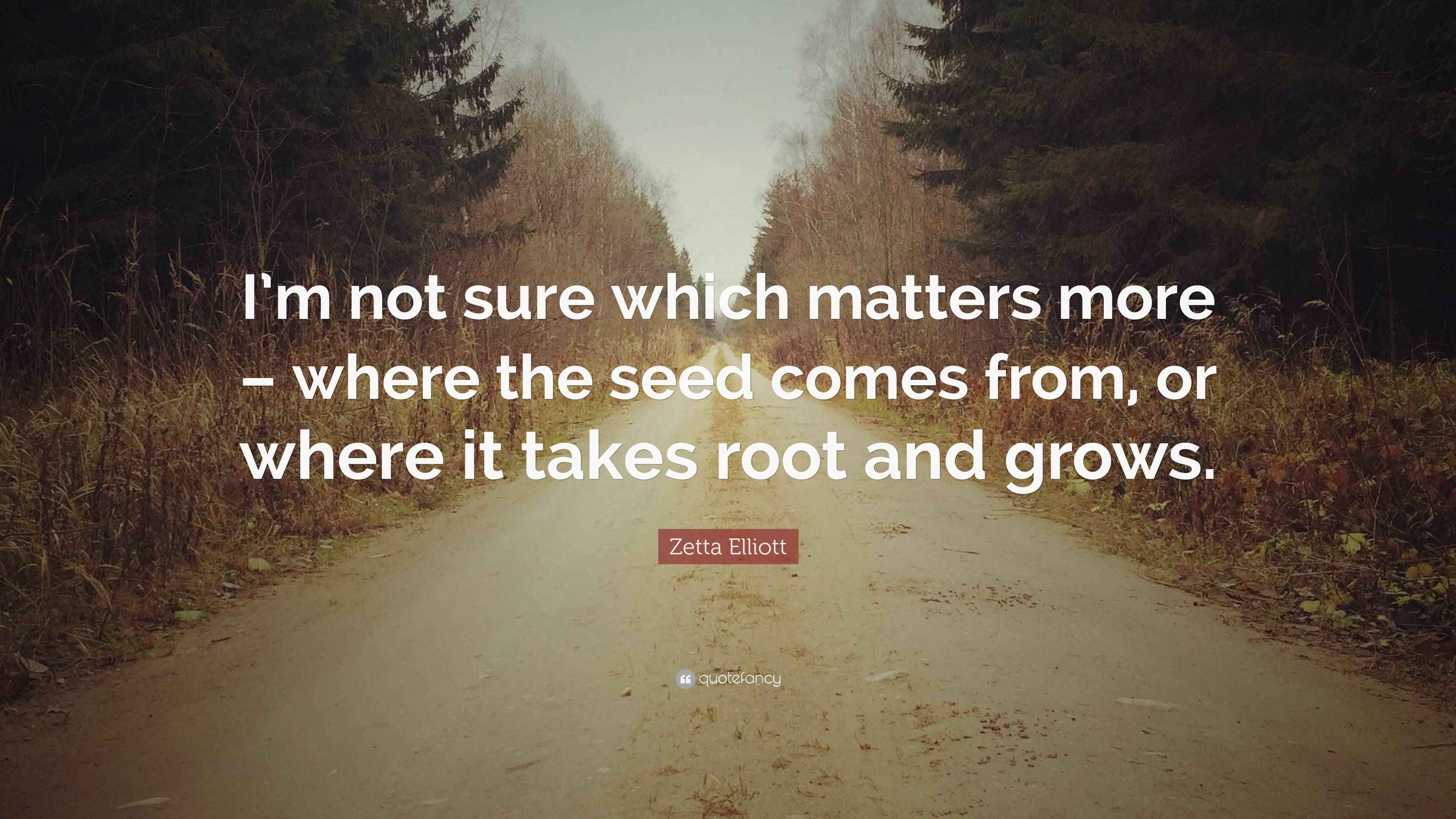 Zetta Elliott Quote: “I’m not sure which matters more – where the seed ...