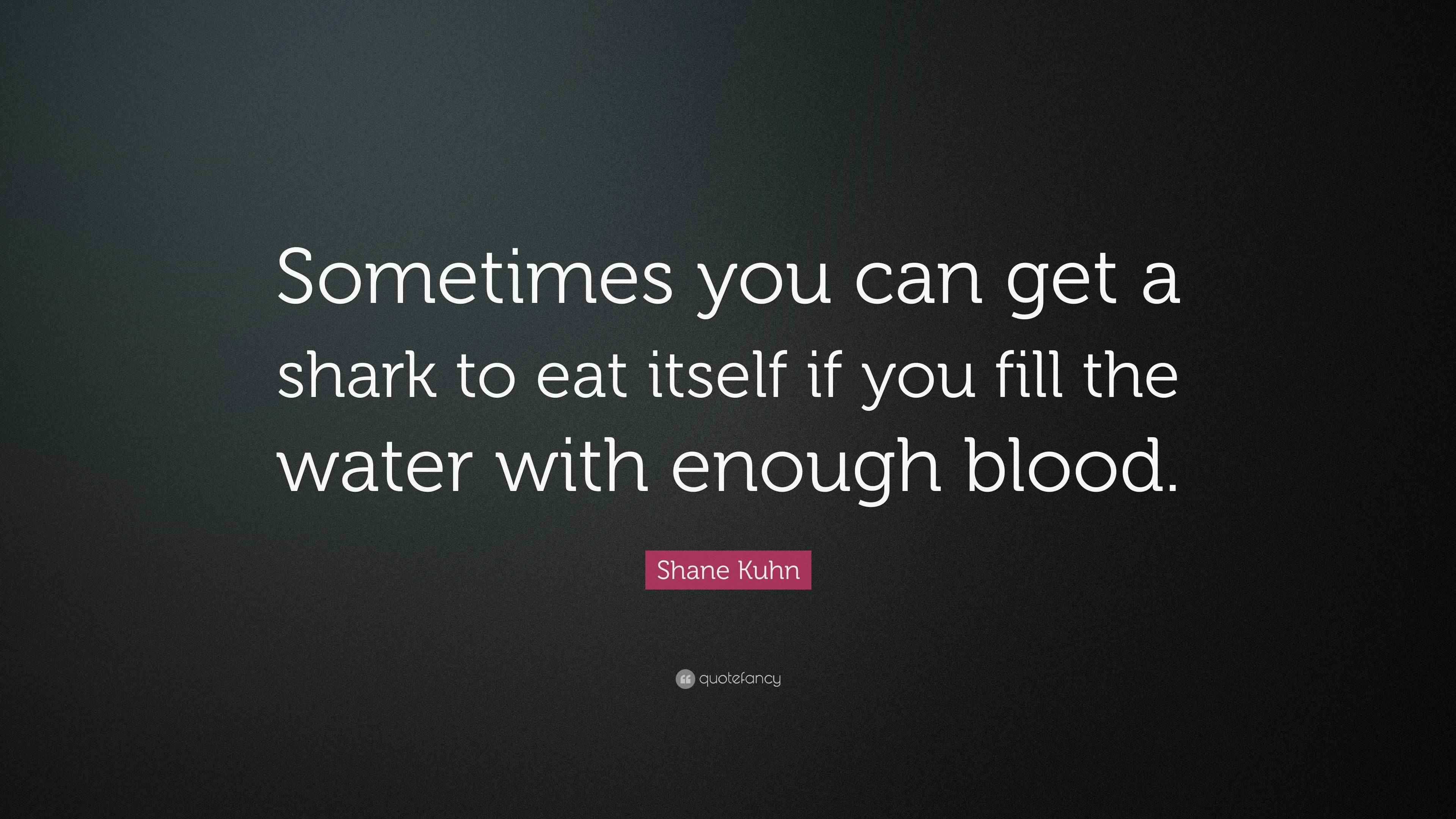 Shane Kuhn Quote: “Sometimes you can get a shark to eat itself if you ...