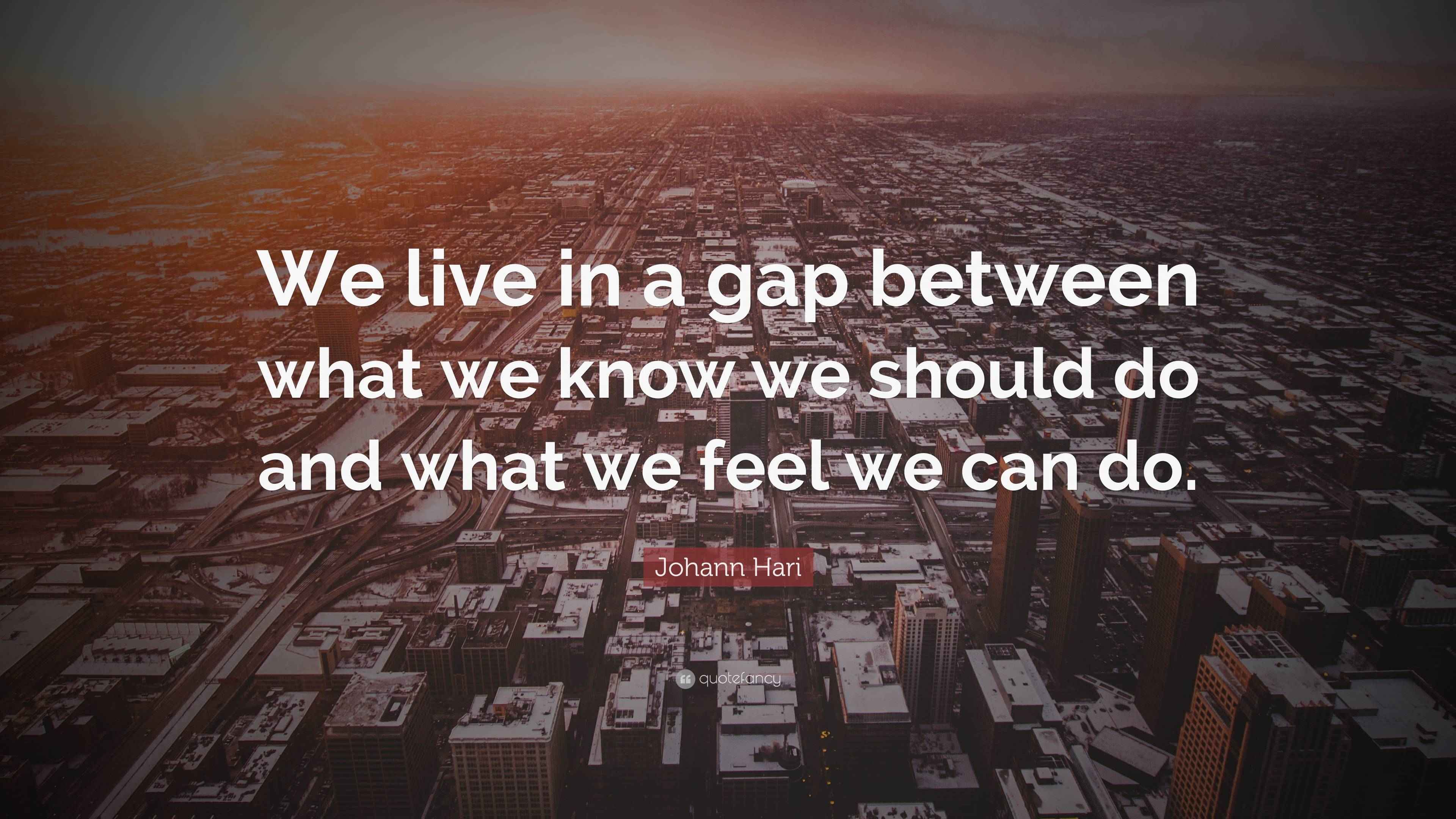 Johann Hari Quote: “We live in a gap between what we know we should do ...