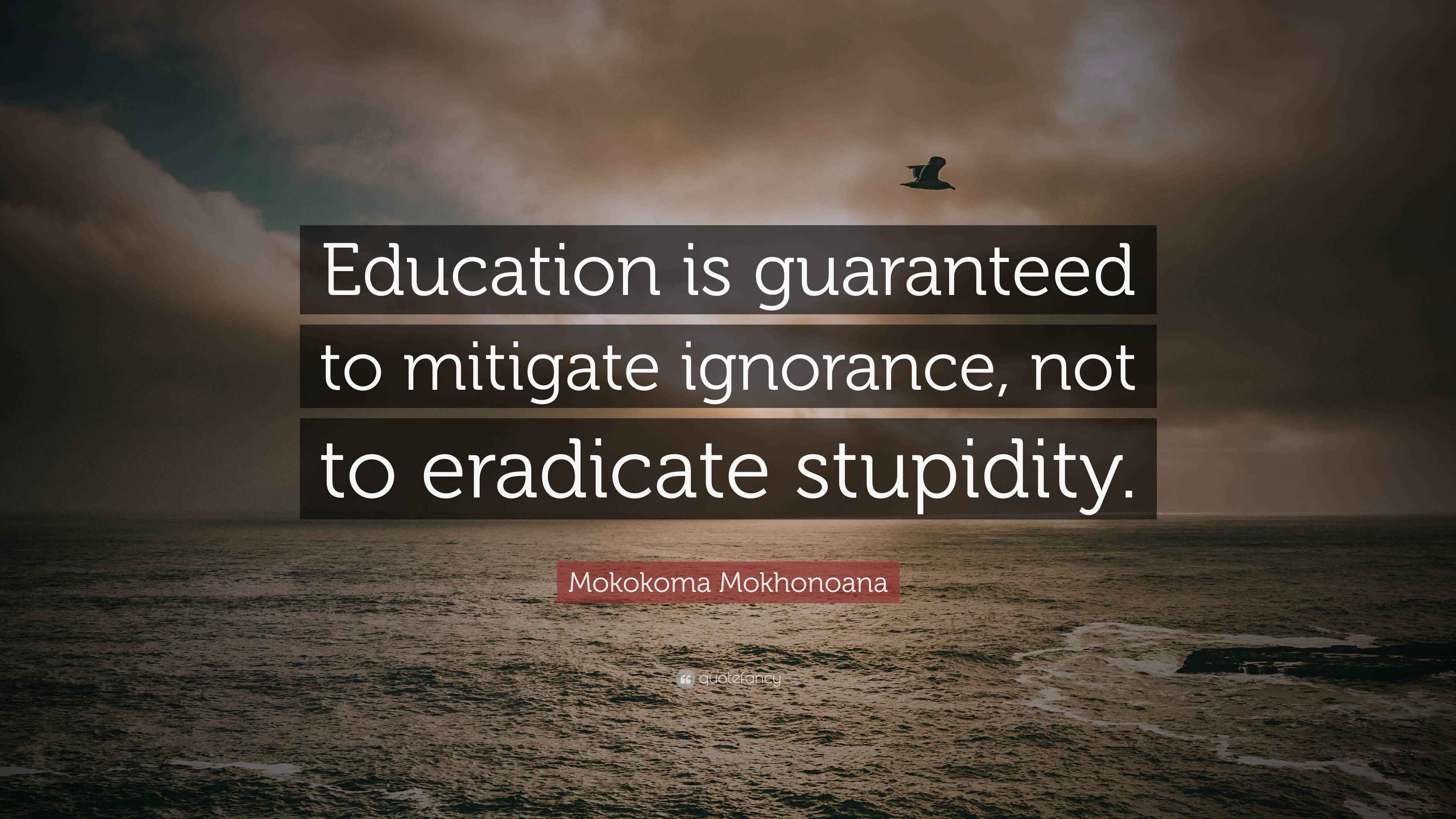 Mokokoma Mokhonoana Quote: “Education is guaranteed to mitigate ...