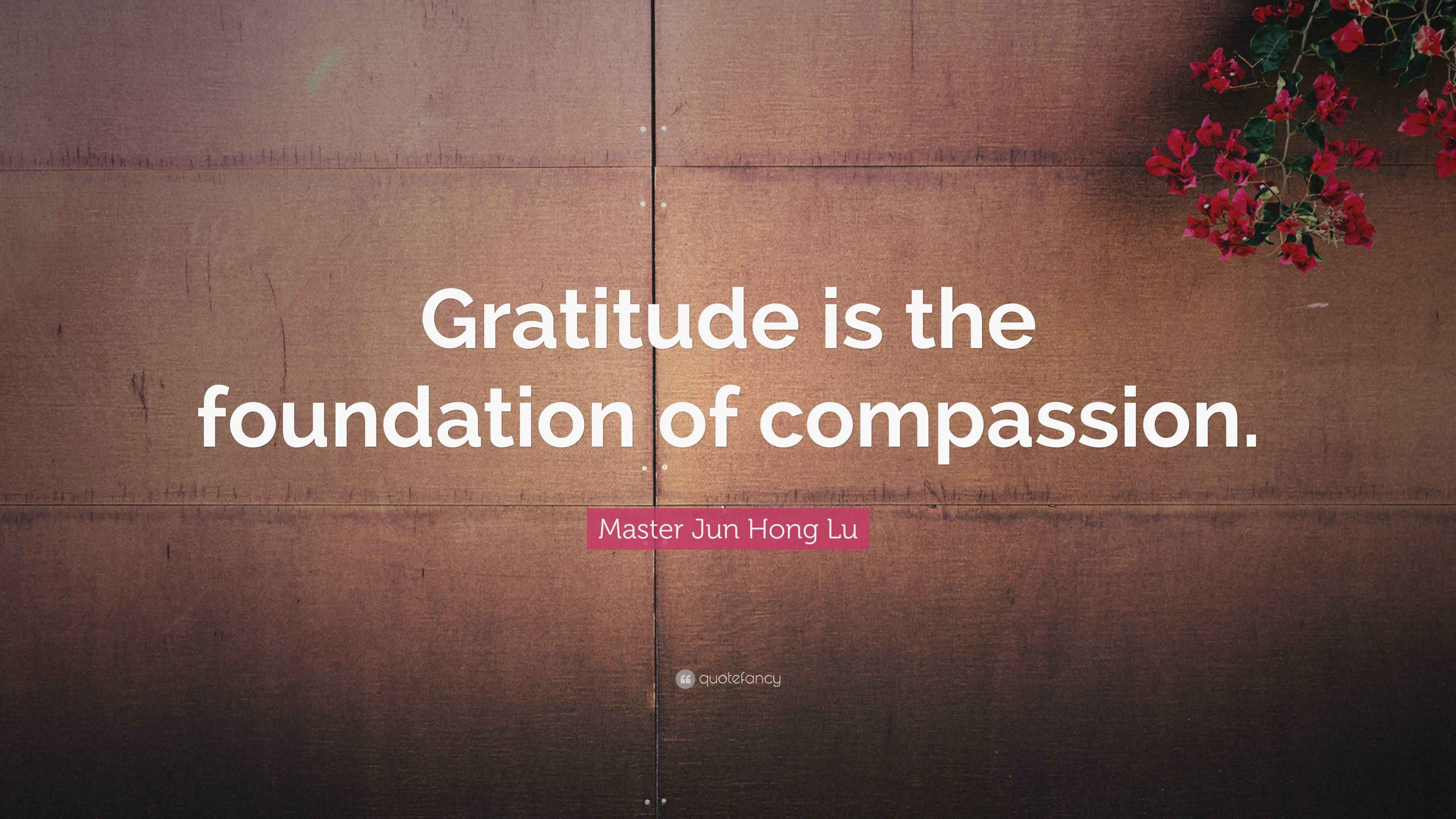 Master Jun Hong Lu Quote: “Gratitude is the foundation of compassion.”
